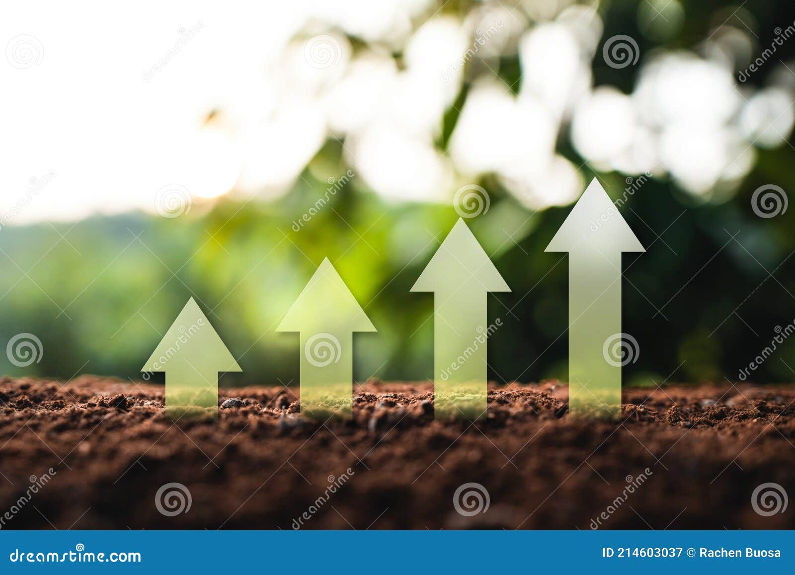 Growth Concept Natural Green Background Stock Image - Image of report ...