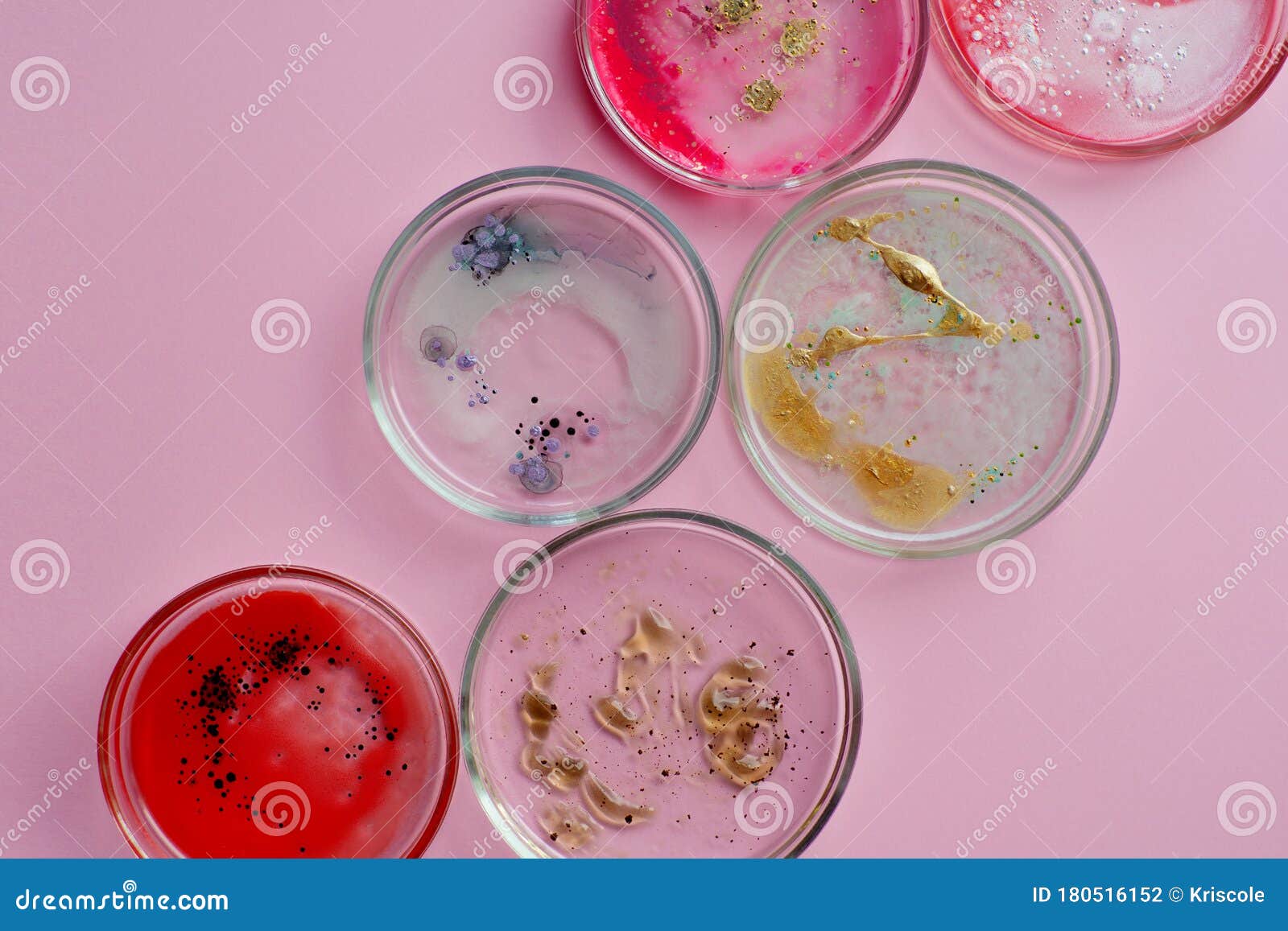 Growth of Different Bacterial Cultures, Concept. Bacteriological ...