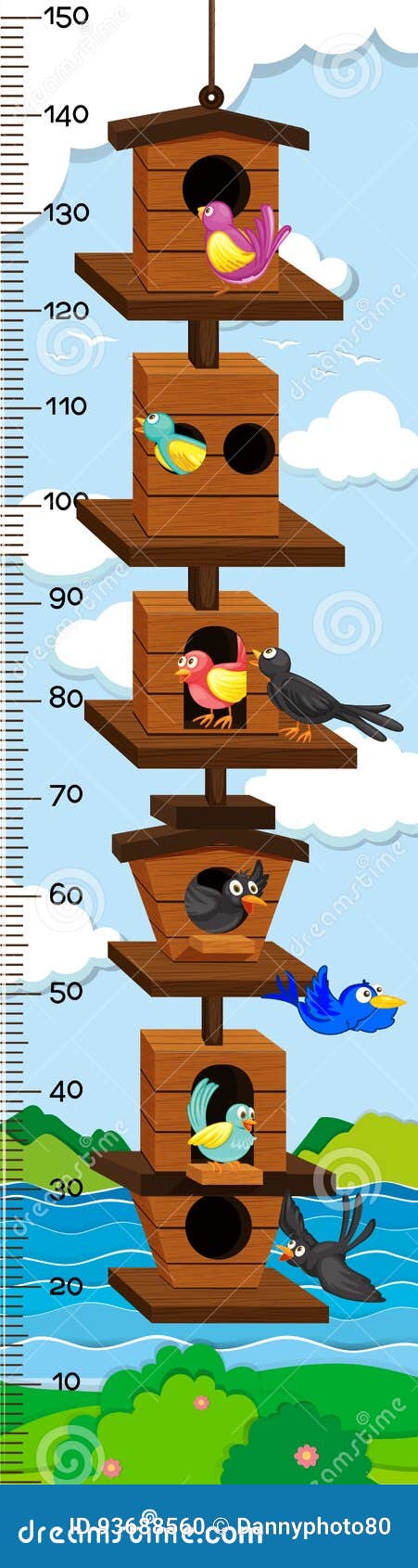 Growth Mearsuring Chart with Birds in Birdhouse Stock Vector ...