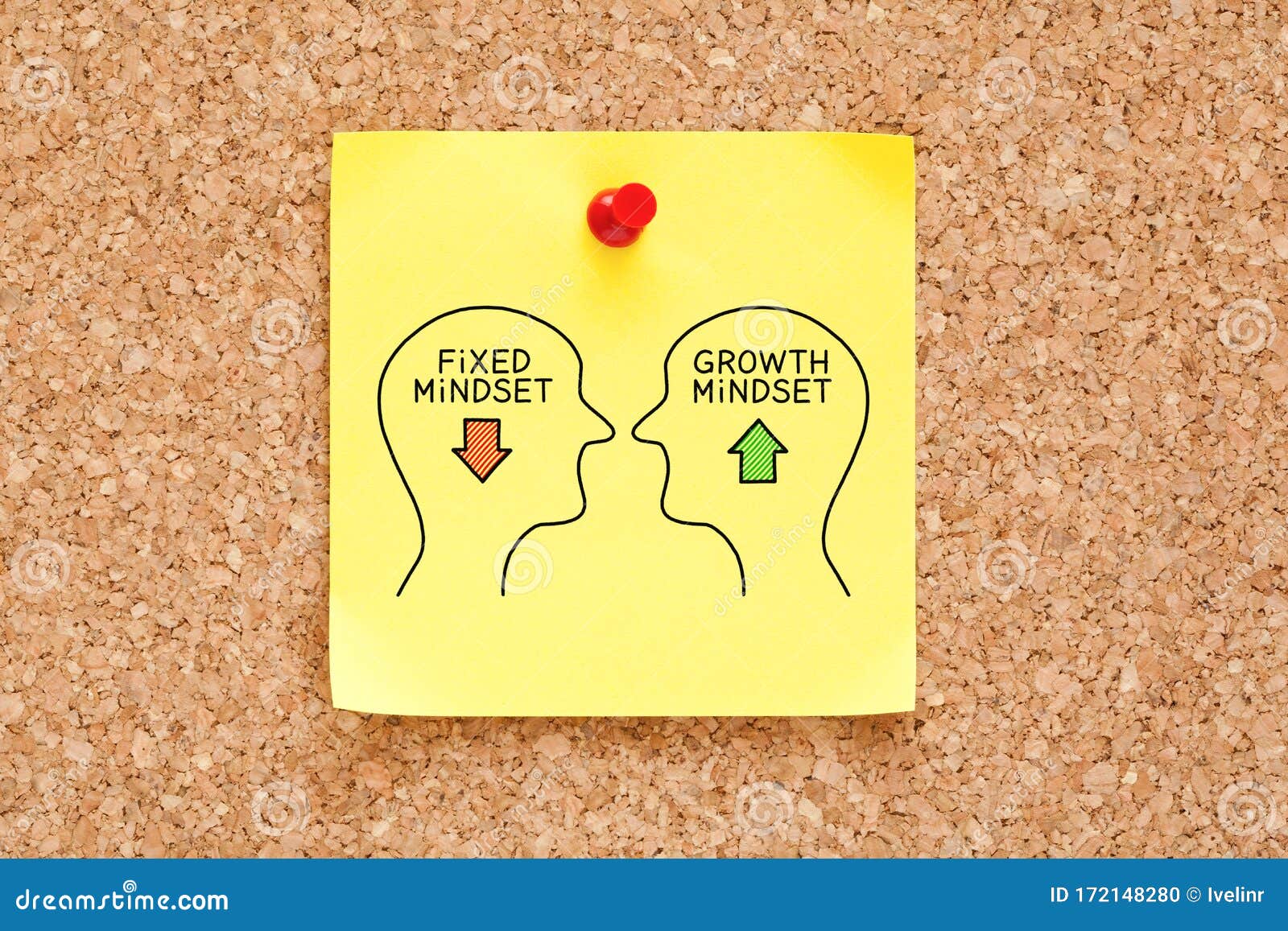 Fixed Mindset And Growth Mindset Text On Sticky Notes Isolated On ...