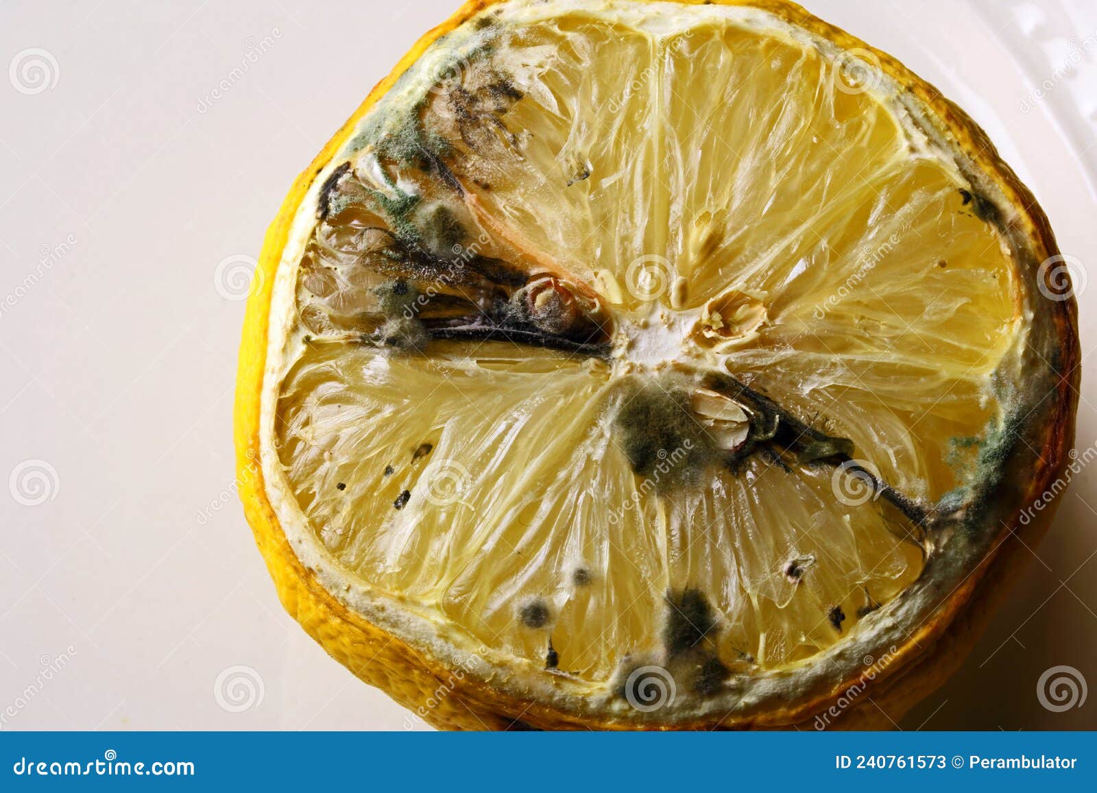 GROWTH of MOLD on HALF a LEMON GONE BAD Stock Image - Image of mold ...