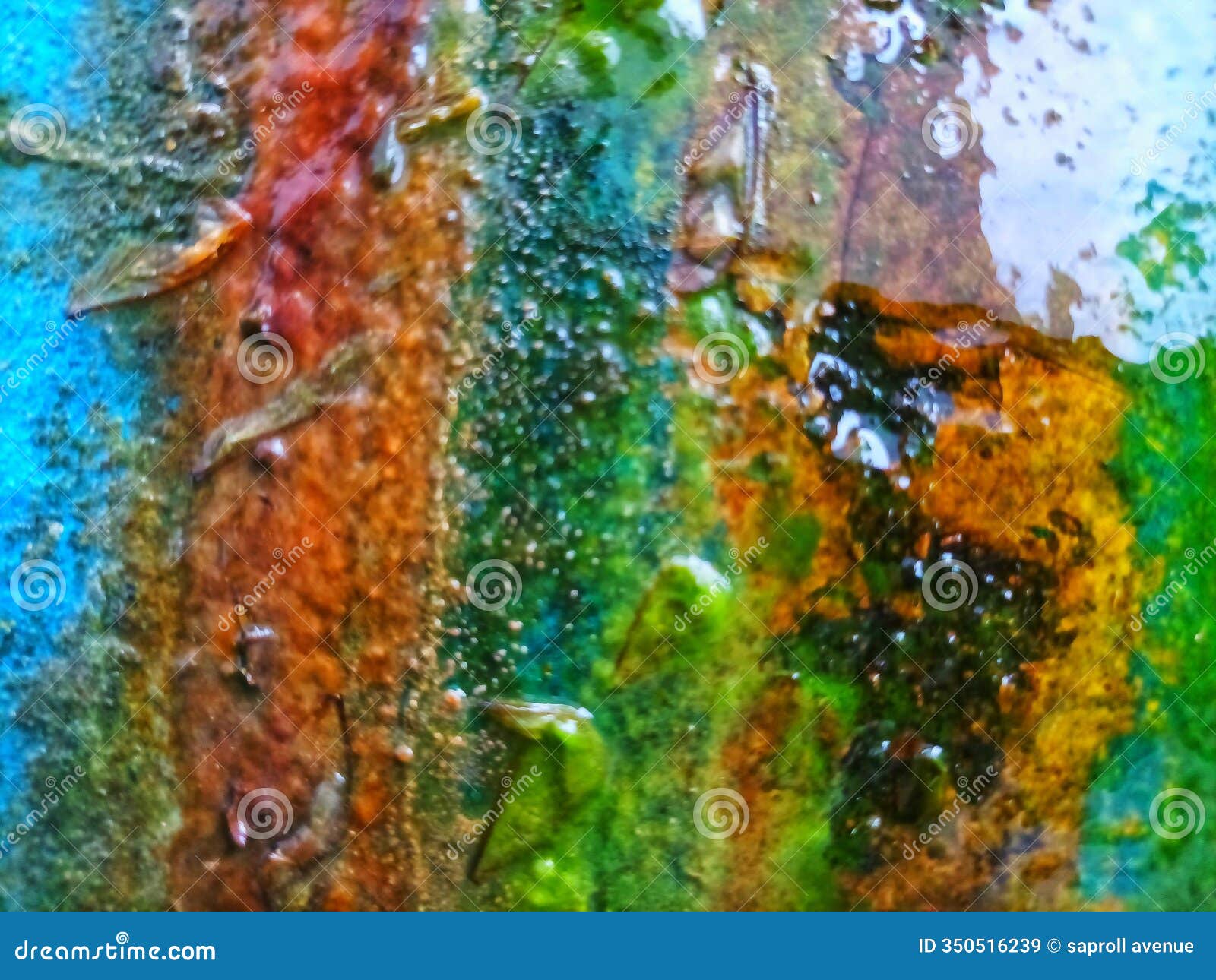 The Growth of Moss on a Damp Hill Gives a Beautiful and Colorful ...