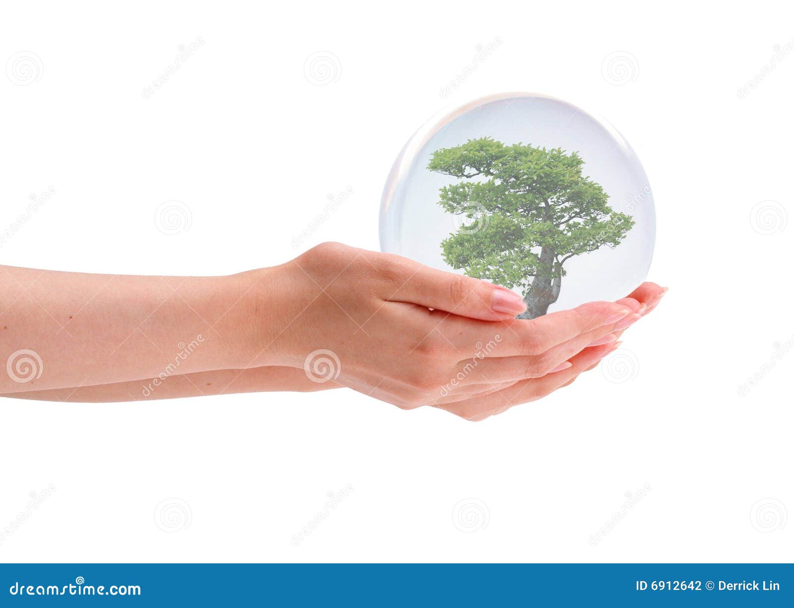 Growth within my Hands stock photo. Image of body, successful - 6912642
