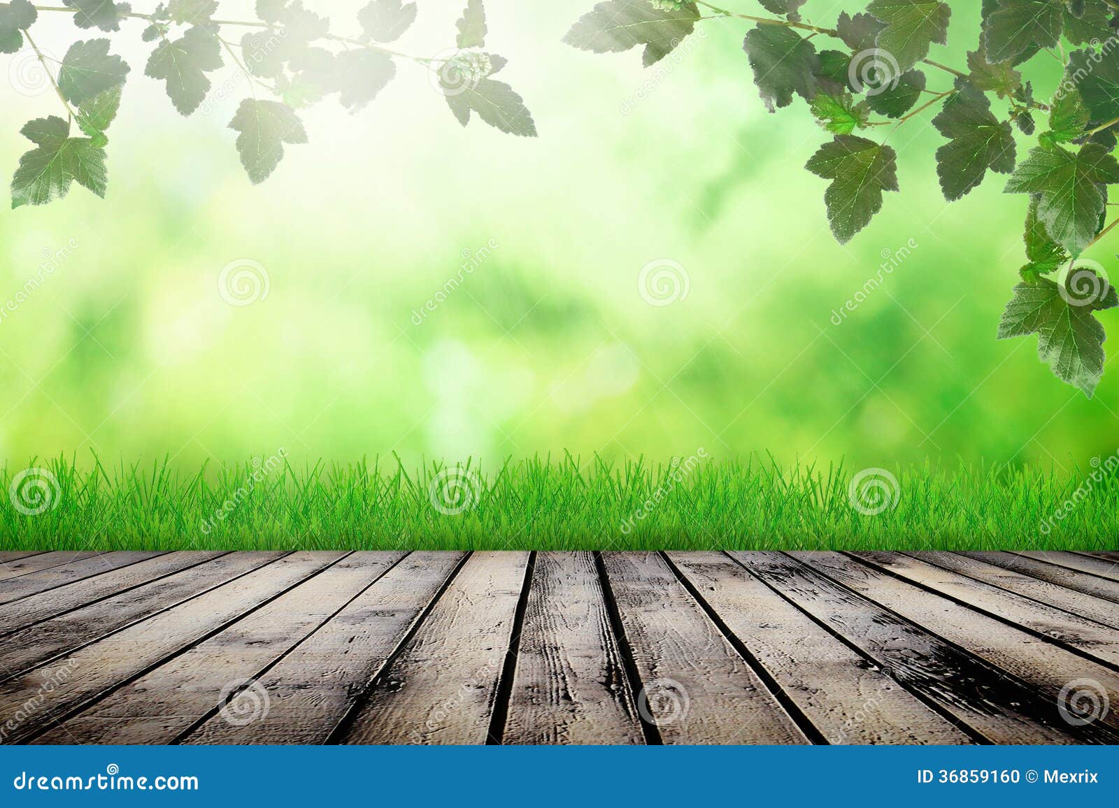 Growth of nature stock photo. Image of healthy, garden - 36859160