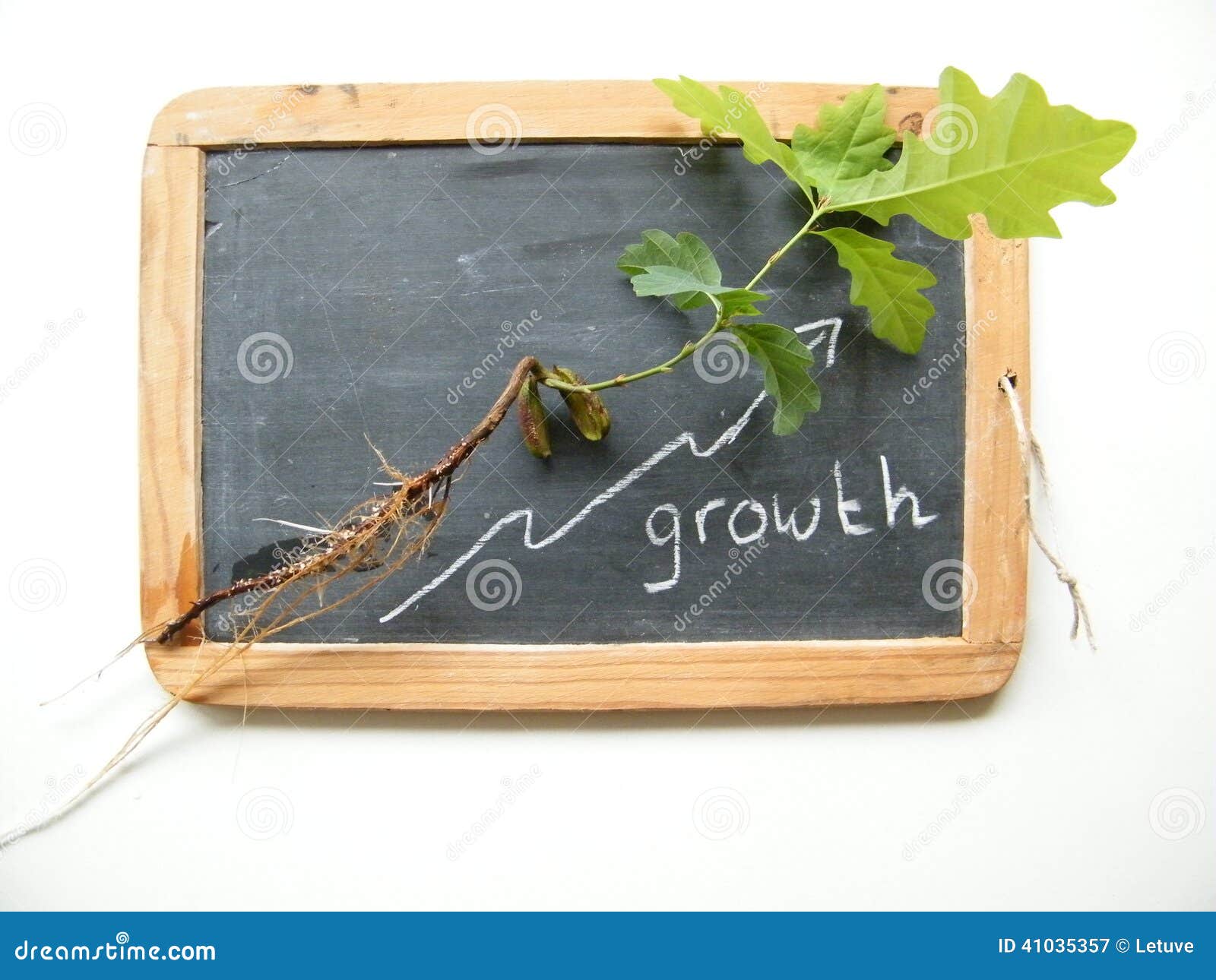 Natural Growth Development Process Schoolboard Stock Image - Image of ...