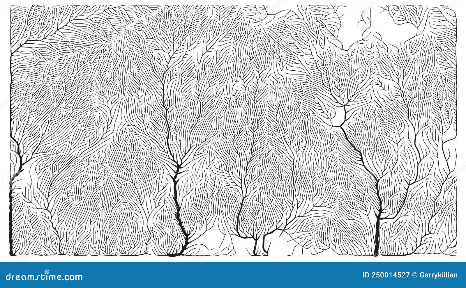 Growth Pattern. Generative Branching Structure. Organic Net of Vessels ...