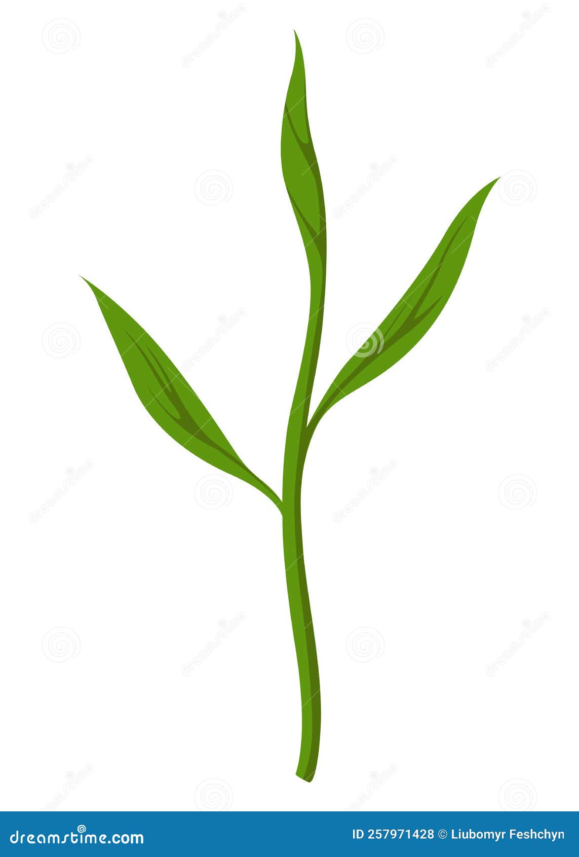 Growth Process Step. Step Sequence of Germinating Seedlings ...