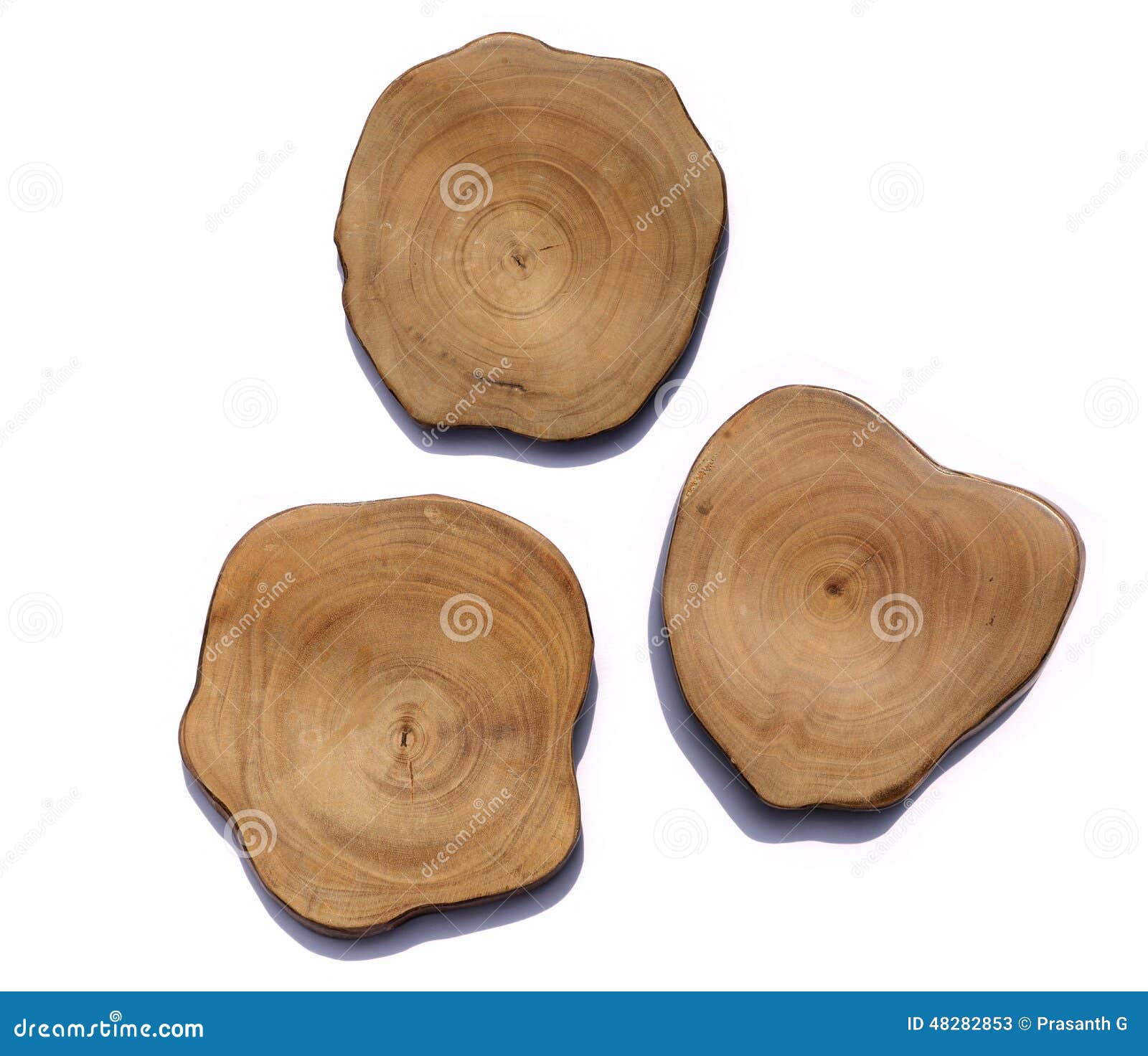 Growth Rings on a Tree Stump Stock Image - Image of rings, stump: 48282853