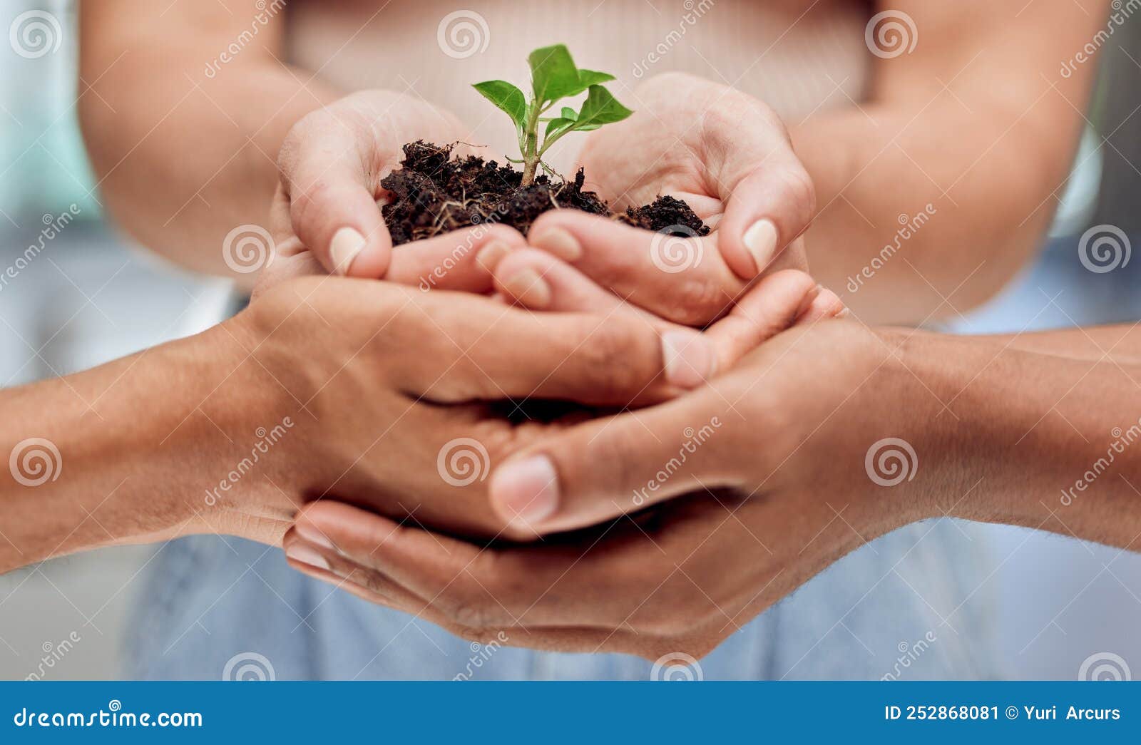 Growth is a Slow Process. Two Unrecognizable People Holding Plants ...