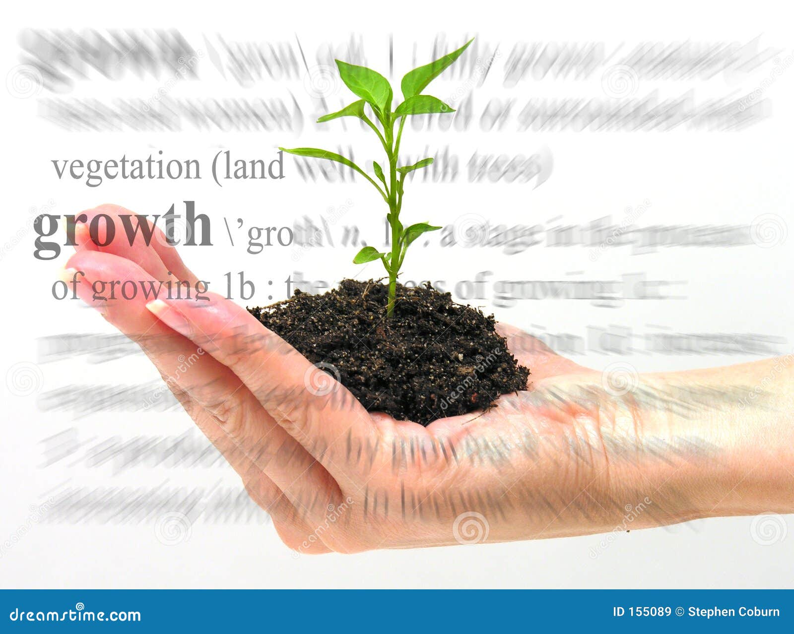 Growth Theme stock image. Image of leaf, little, light - 155089