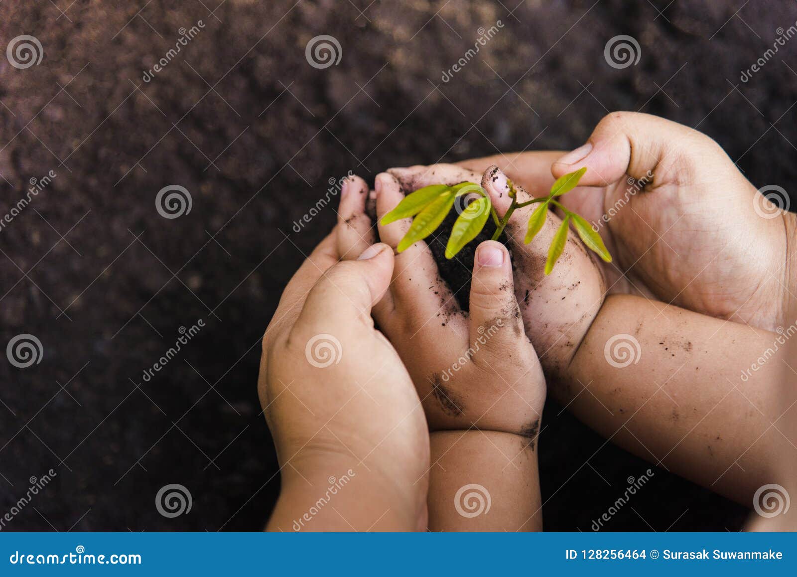Trees With Money, Saving Money And Growing Hands.Growth Of Money And ...