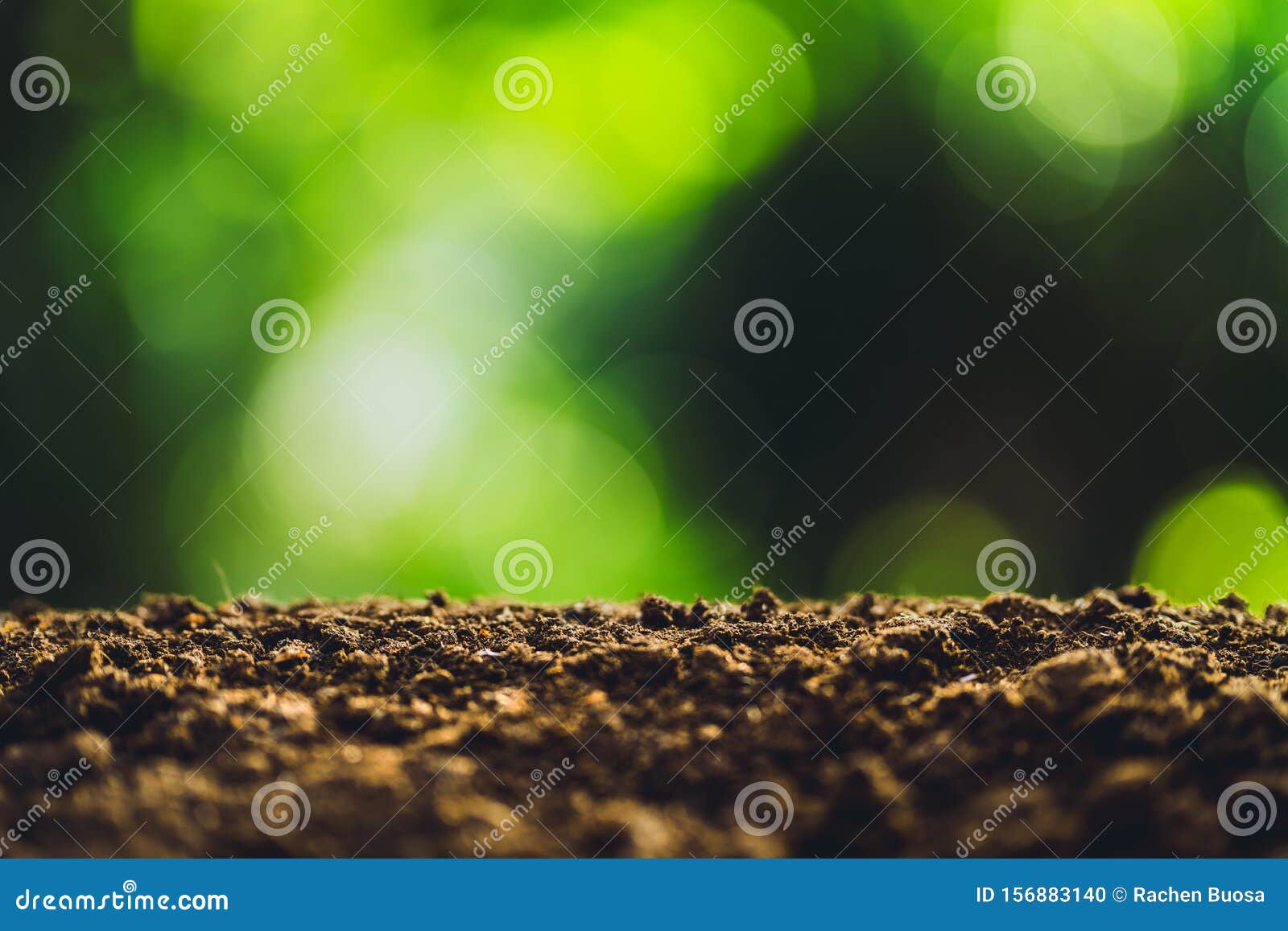 Growth Tree Young Plant Natural Green Background Stock Photo - Image of ...
