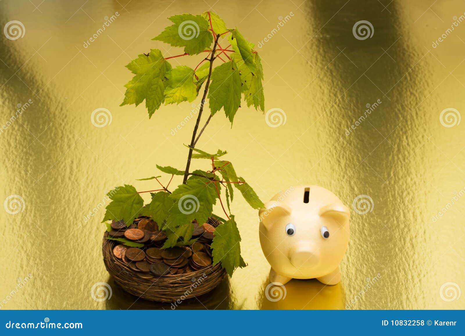Growth in Your Savings stock photo. Image of leaf, market - 10832258
