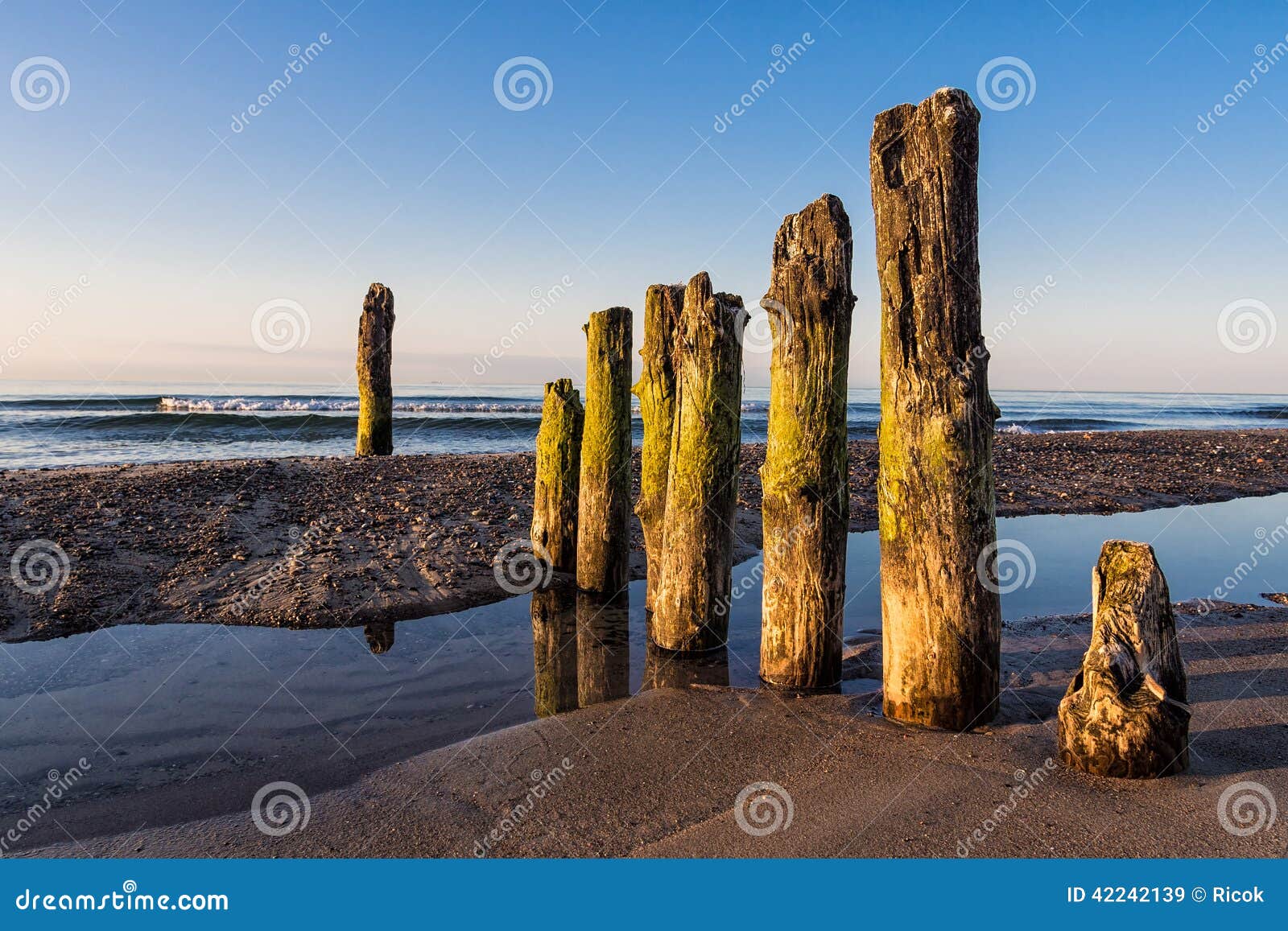 Groyne stock image. Image of travel, beach, groynes, coast - 42242139