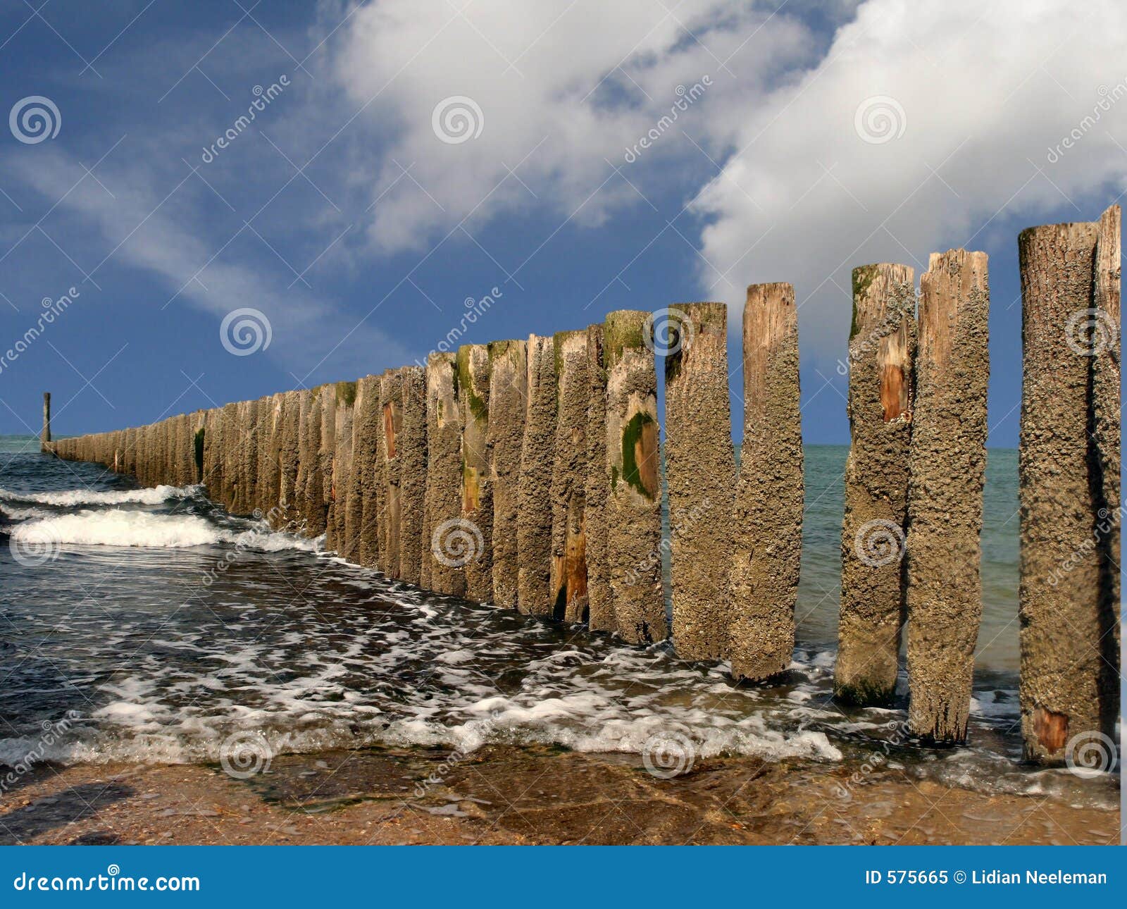 Groynes on beach stock image. Image of sand, travel, groins - 575665