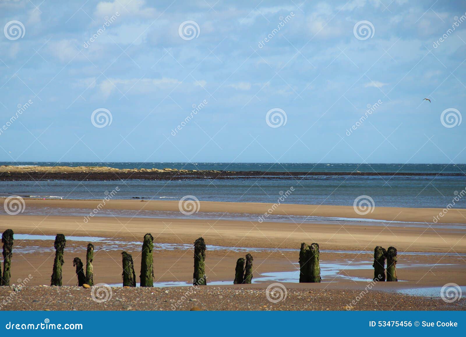 Groynes - Sandsend Beach stock photo. Image of coastal - 53475456