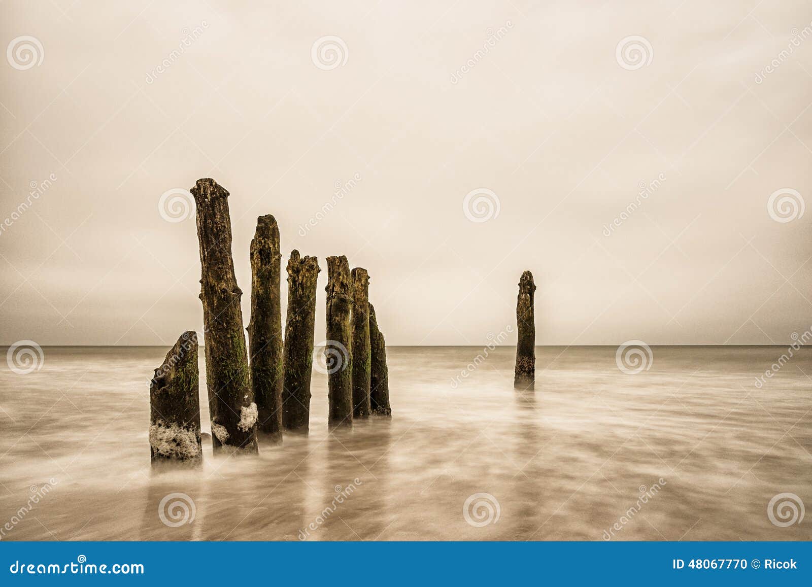 Groynes on shore stock photo. Image of landscape, shoreline - 48067770