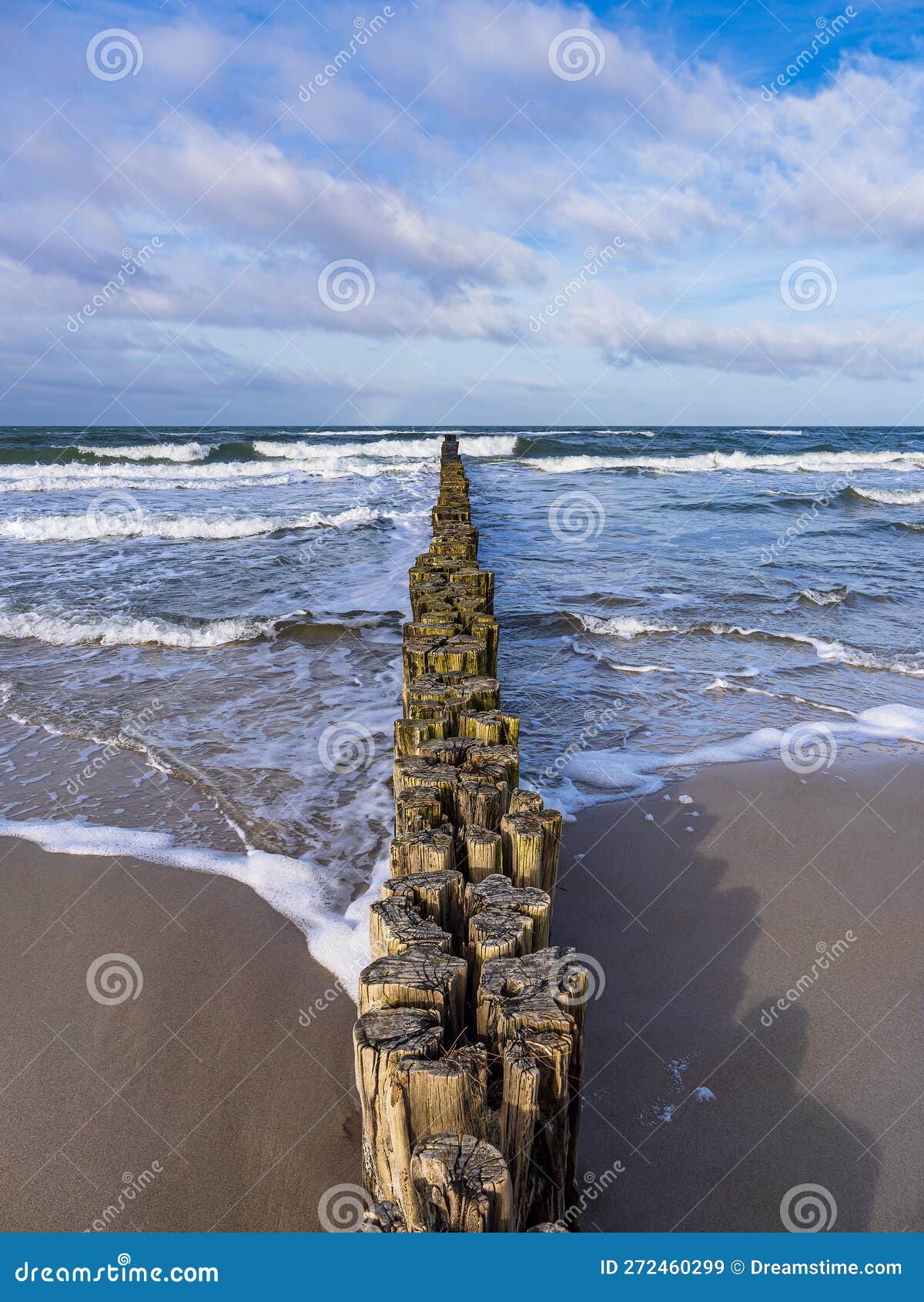 Groynes on Shore of the Baltic Sea in Graal Mueritz, Germany Stock ...