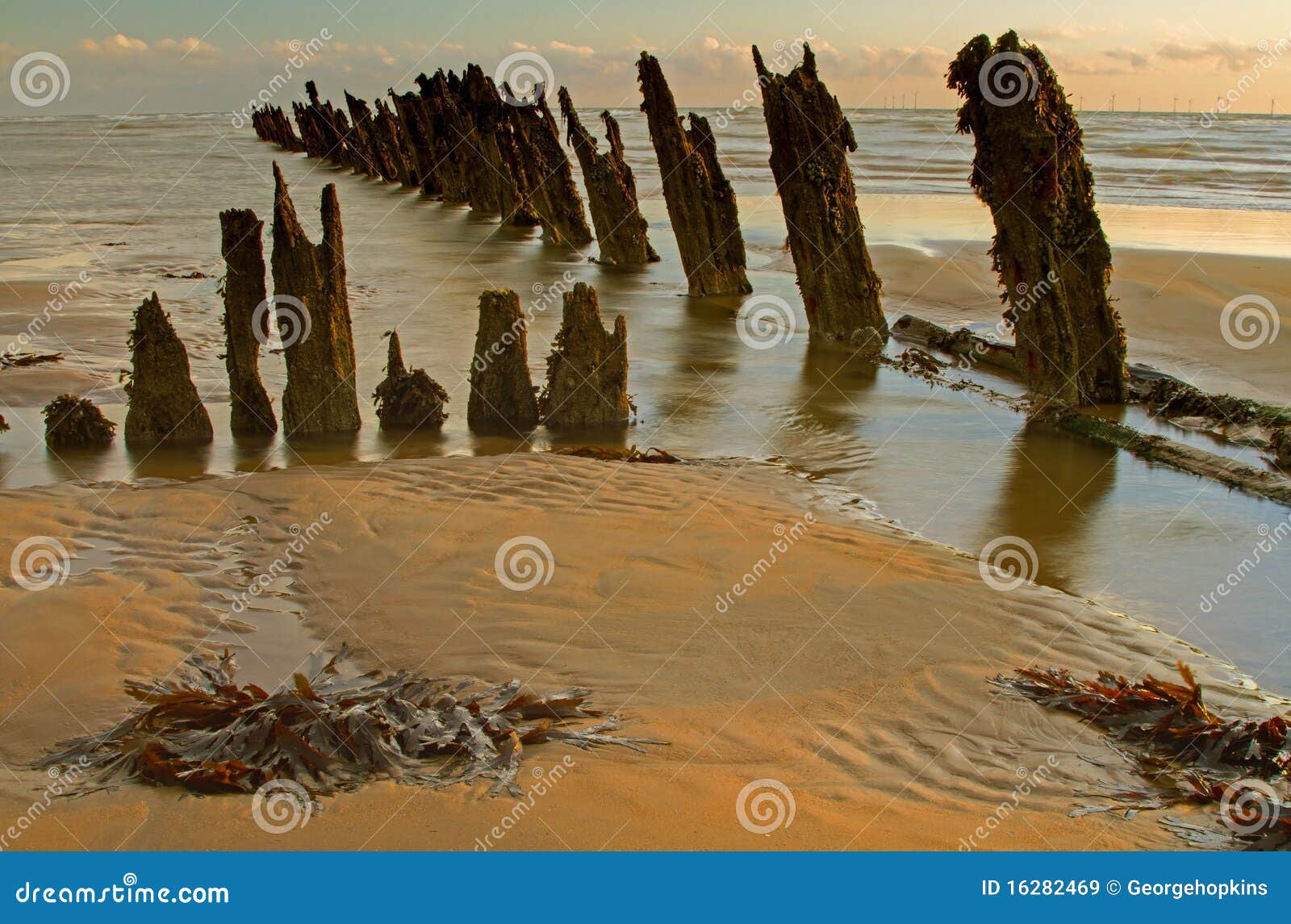 Groynes of Walney Island stock image. Image of george - 16282469
