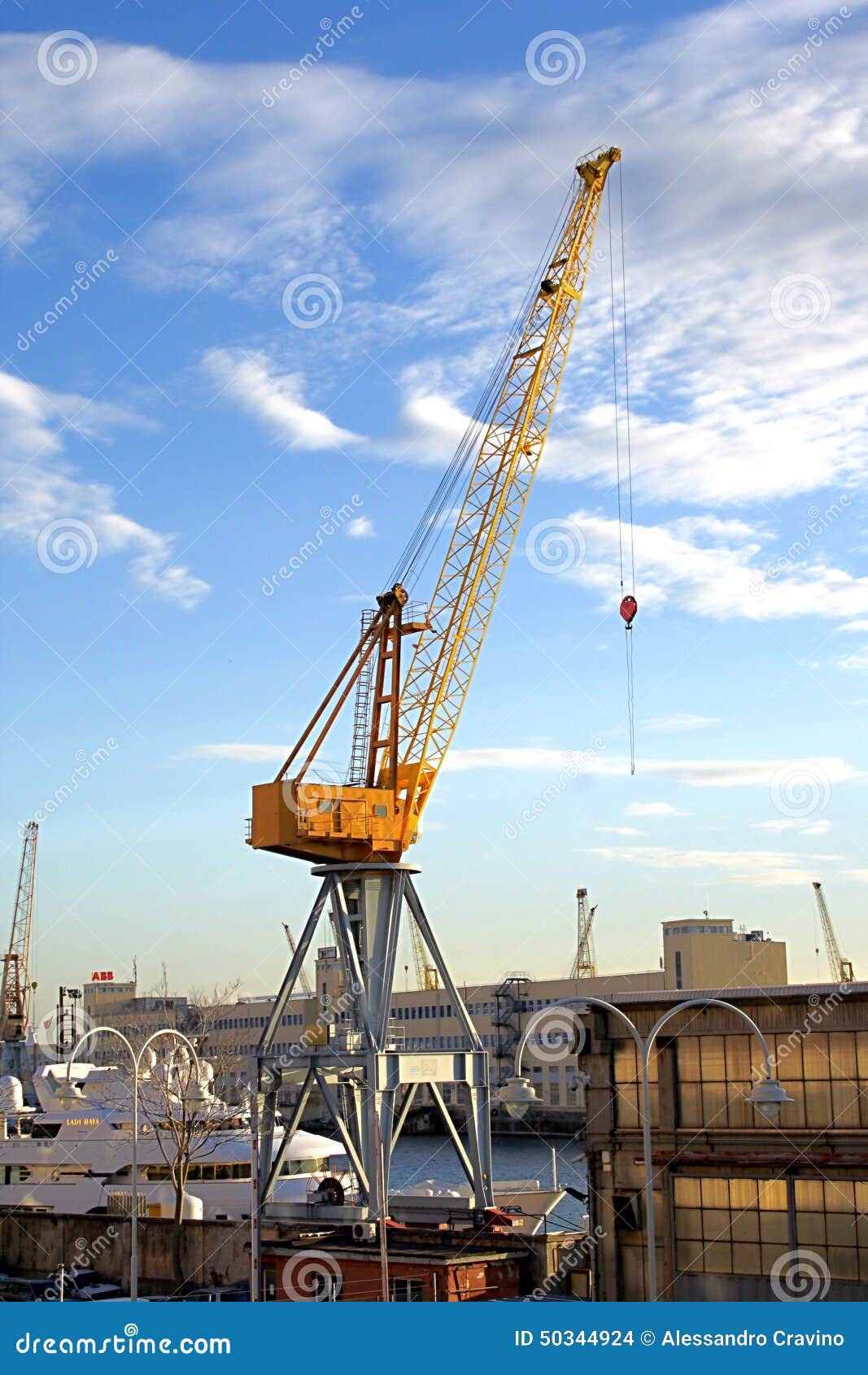Grue image stock éditorial. Image du assemblage, structurel - 50344924