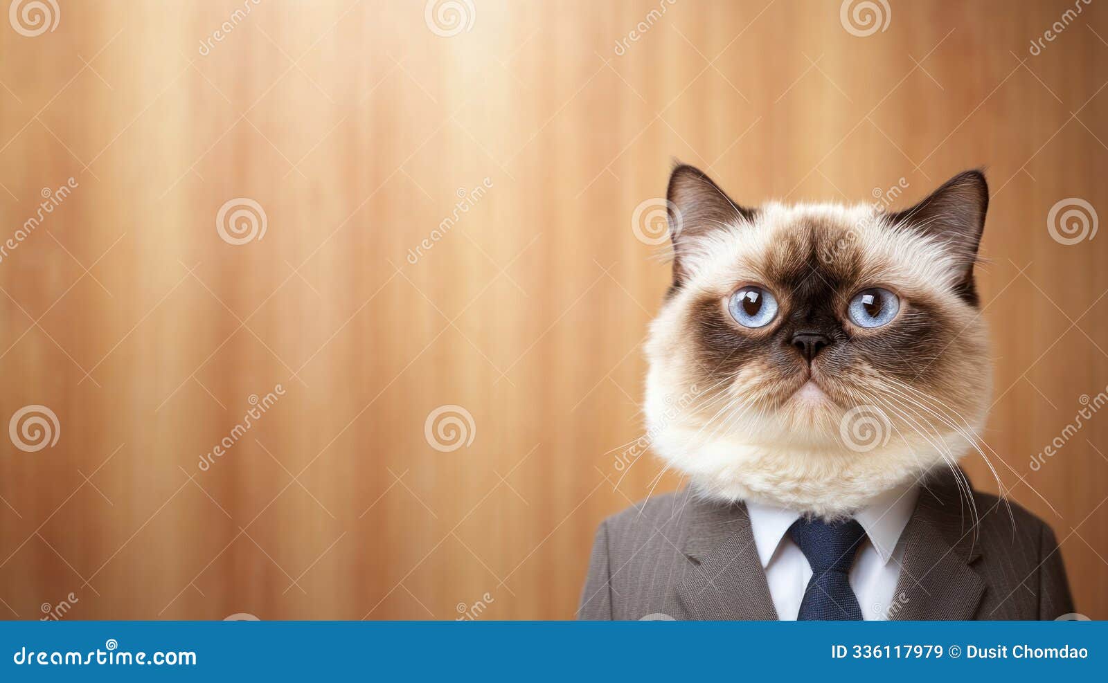 Grumpy Cat in Business Suit Exudes Humorous Charm Stock Image - Image ...