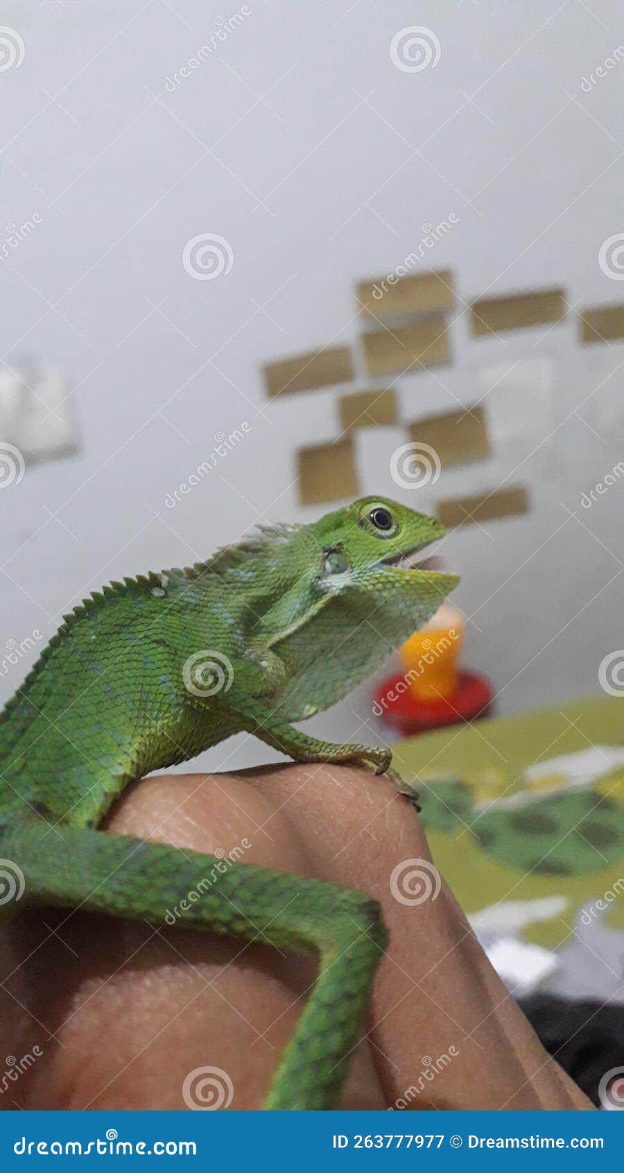 Grumpy Green Cartoon Character With Spiky Hair On Textured Background ...