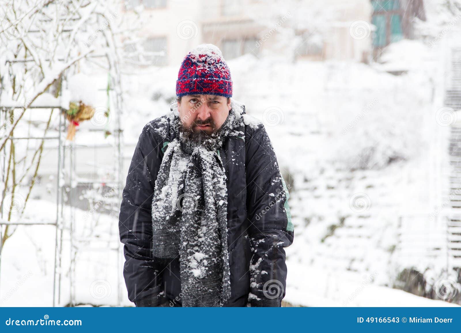 Grumpy Man in a Snowy Garden Stock Image - Image of surly, snowy: 49166543