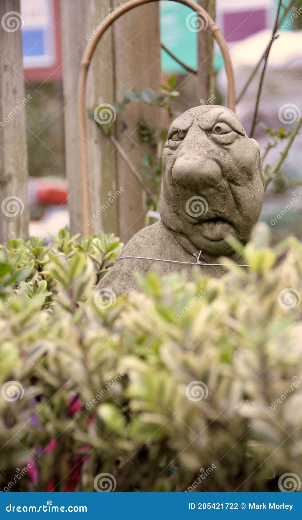 Grumpy old man stock photo. Image of statue, garden - 205421722