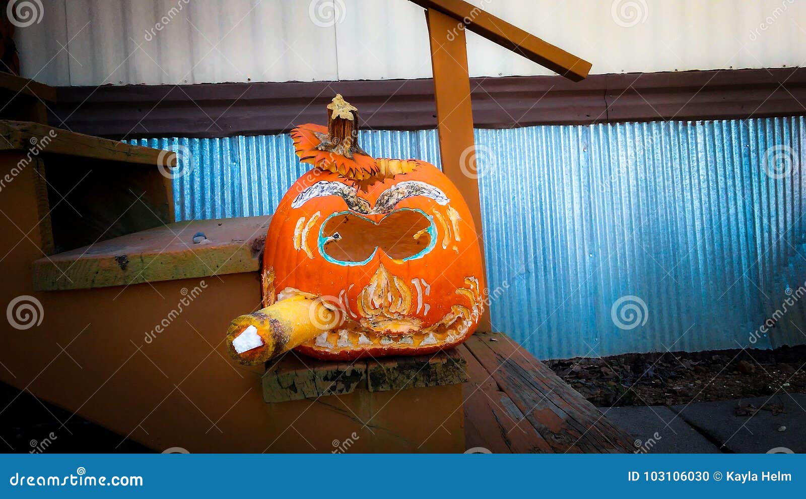 Grumpy pumpkin stock photo. Image of pumpkin, grumpy - 103106030
