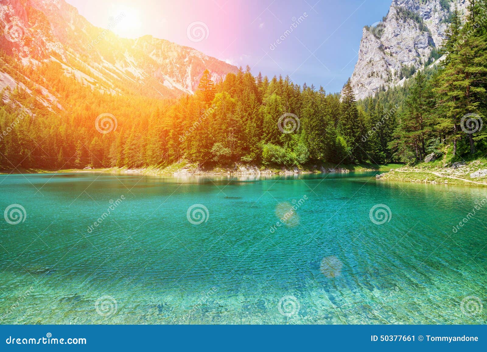 Gruner See with Crystal Clear Water in Austria Stock Image - Image of ...