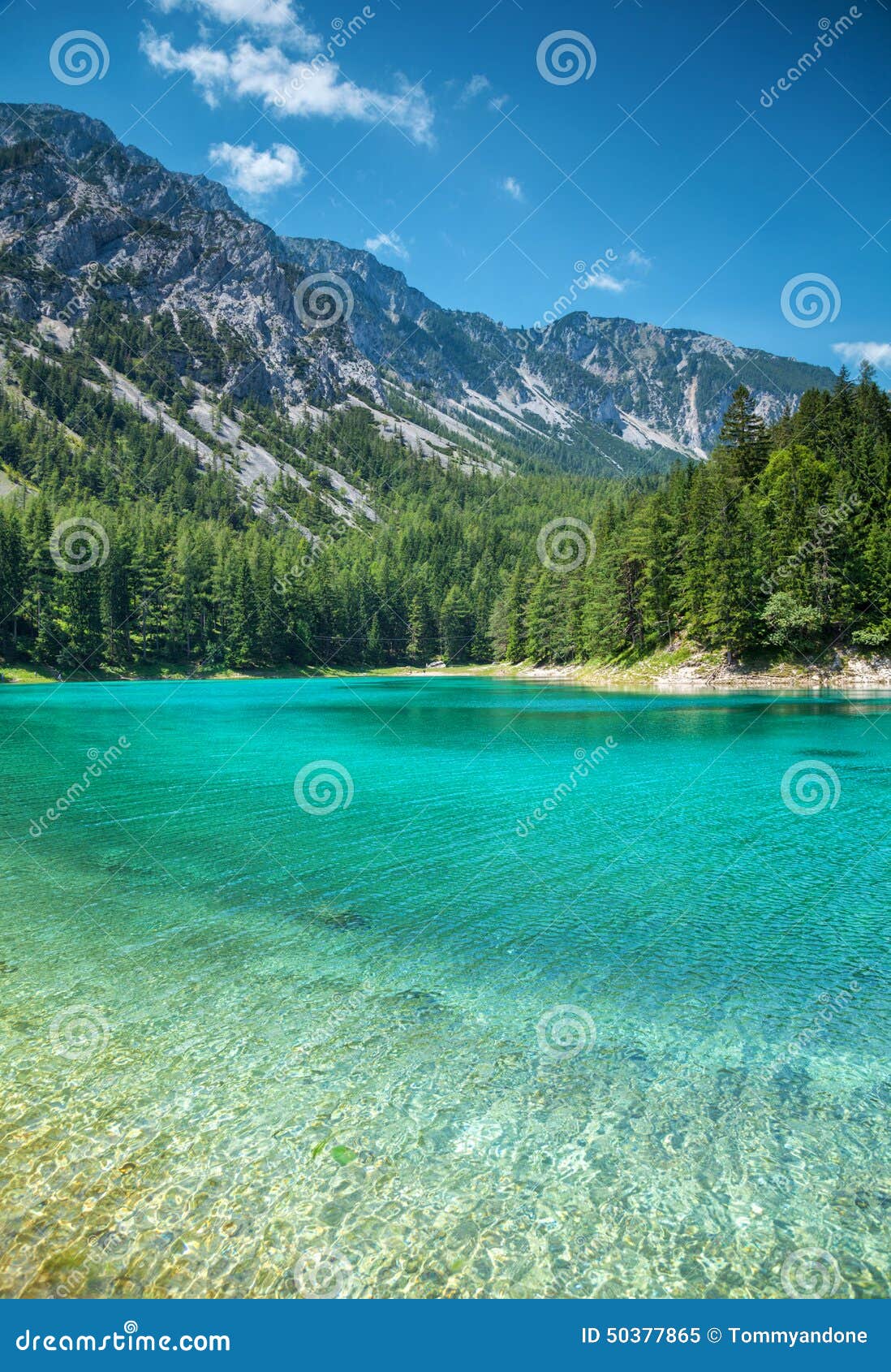 Gruner See with Crystal Clear Water in Austria Stock Image - Image of ...