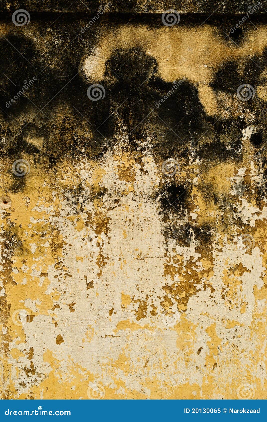 Grunge stock image. Image of burned, aging, page, canvas - 20130065