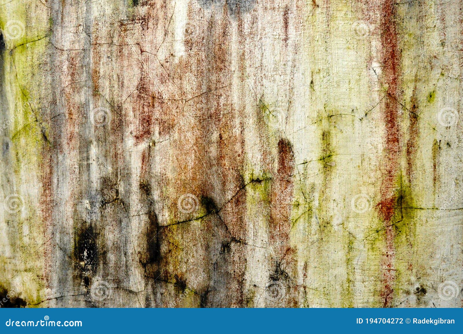 Grunge Abstract Wall Texture and Background, Old Aged Paint Wall Moss ...