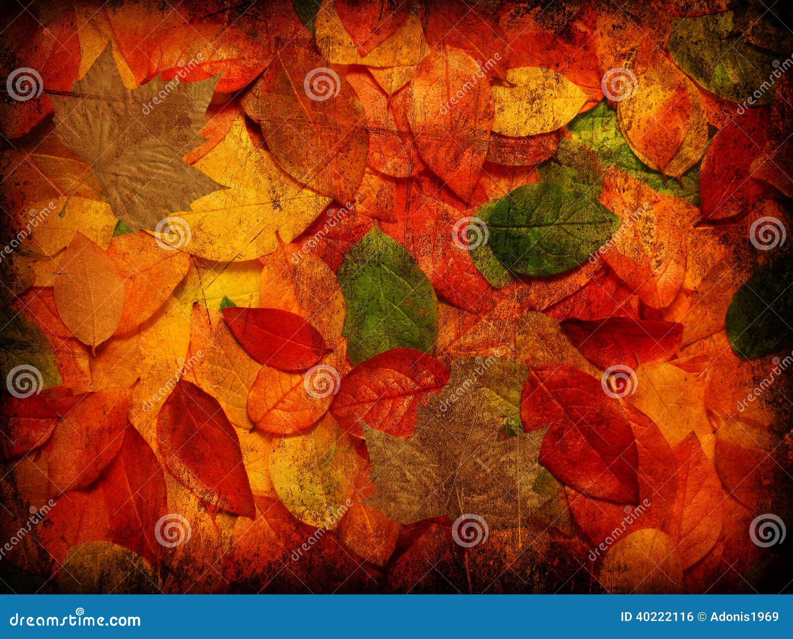 Grunge autumn leaves stock photo. Image of details, decorative - 40222116