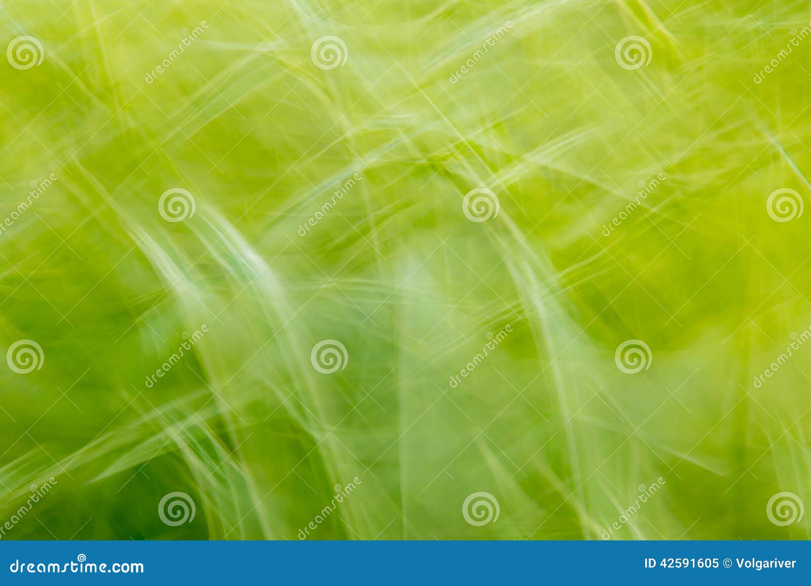 Grunge Background Abstract Green Template Creative Visual Patter Stock ...