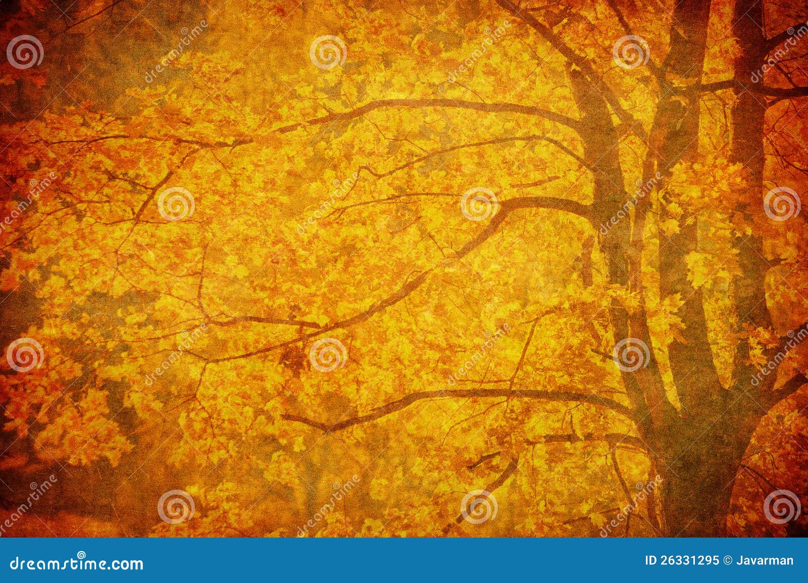 Grunge Background with Autumn Leaves Stock Image - Image of decorative ...