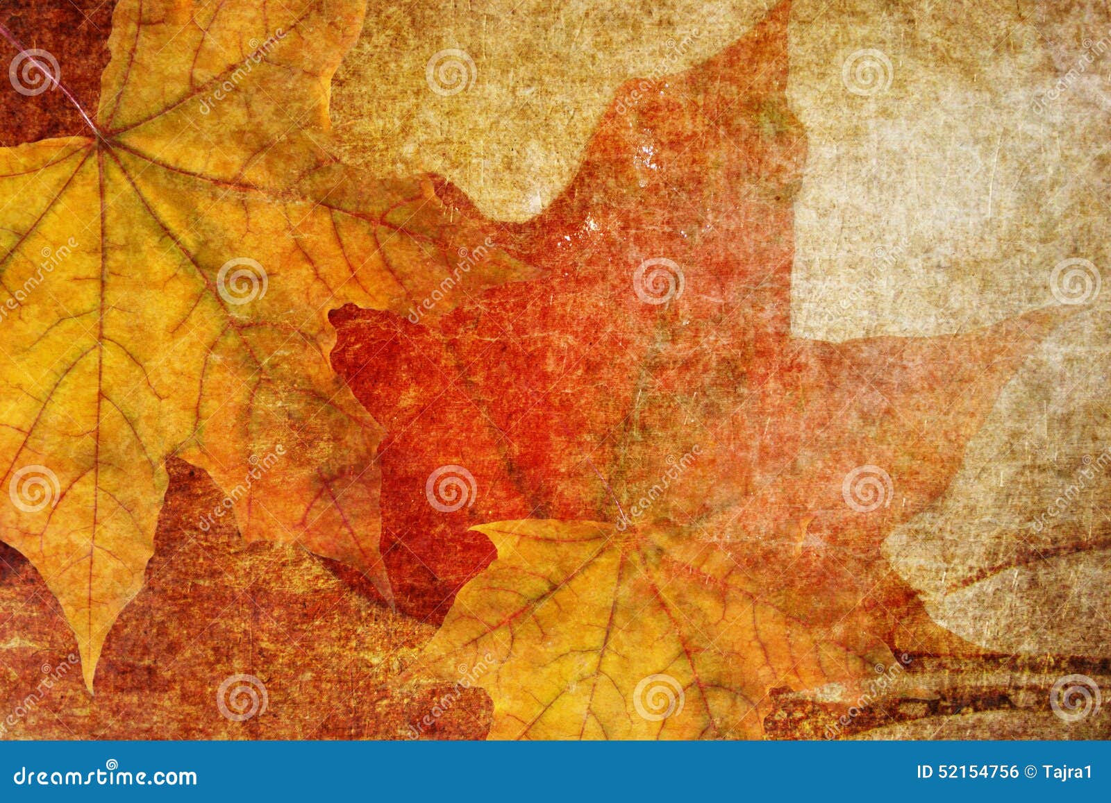 Grunge Background with Autumn Leaves Stock Illustration - Illustration ...