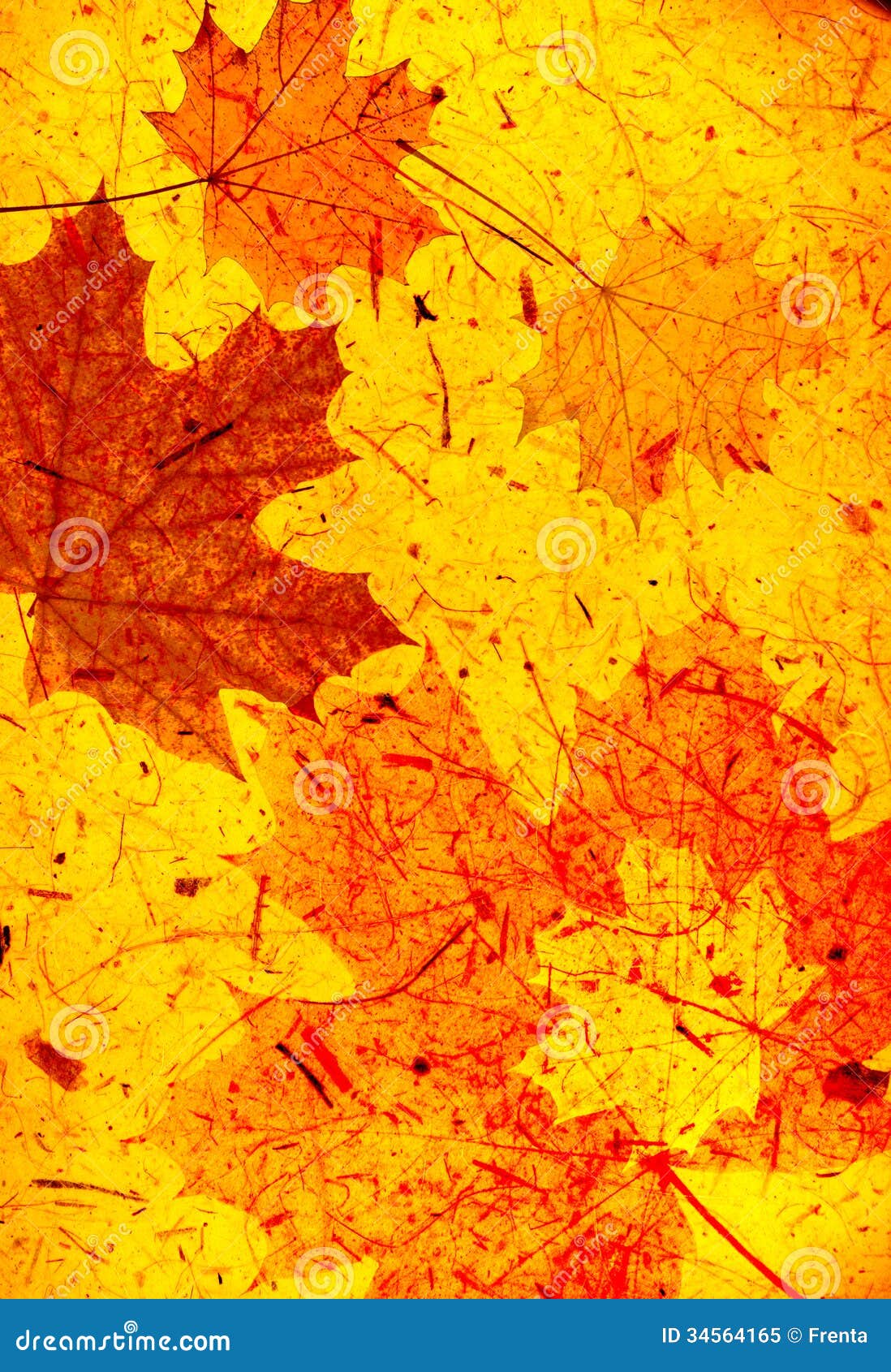 Grunge Background with Autumn Leaves Stock Image - Image of page ...