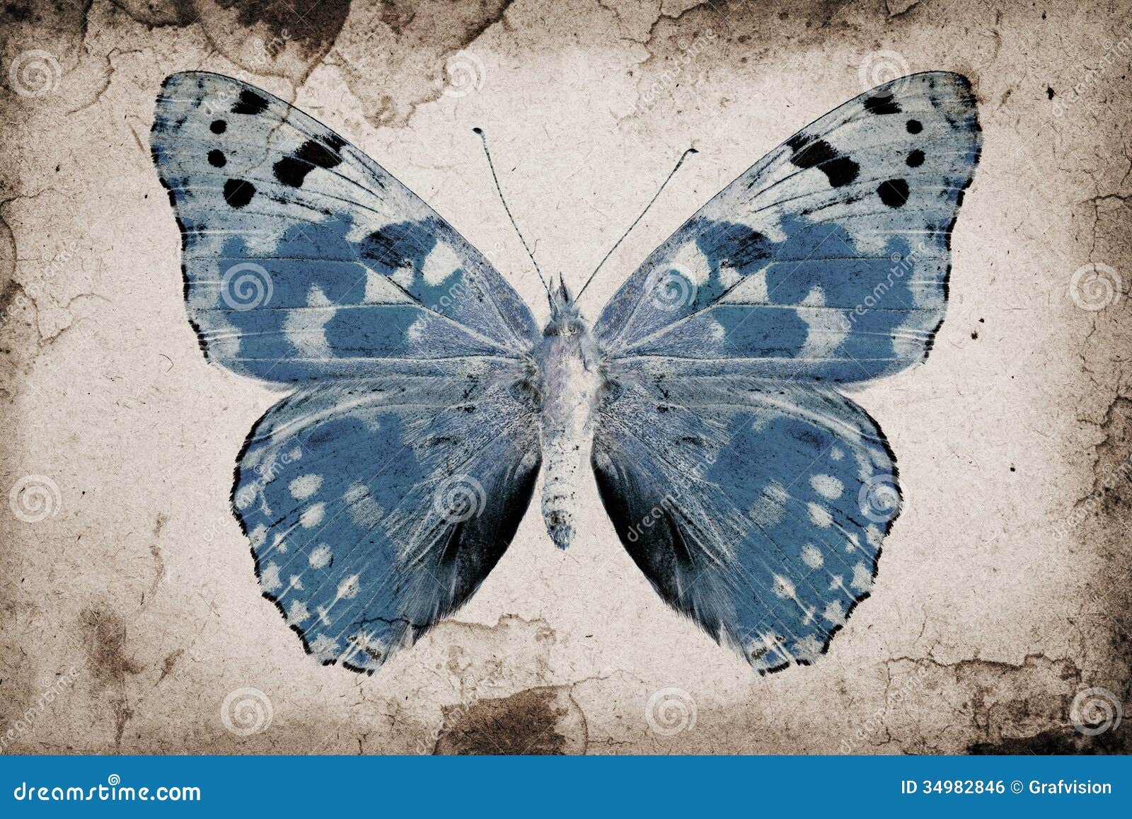 Grunge Background Stock Photography | CartoonDealer.com #34982846