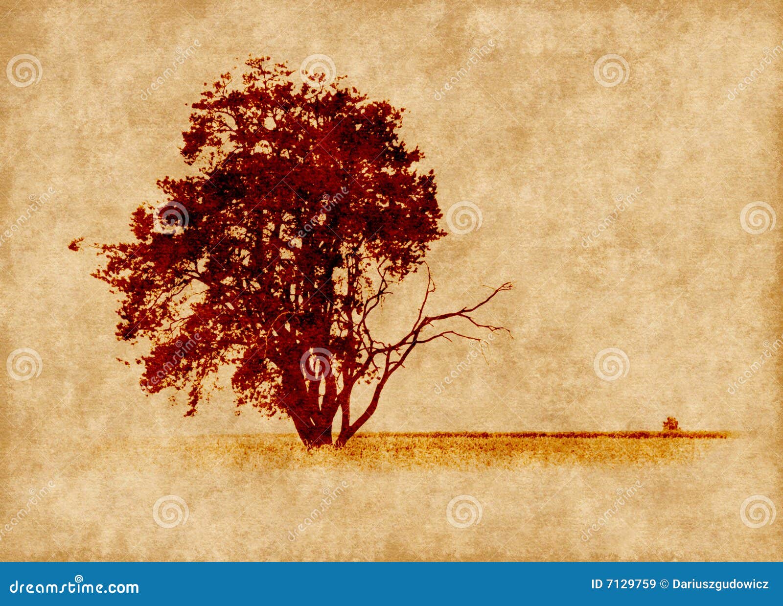 Grunge Background with Pine Tree Stock Illustration - Illustration of ...