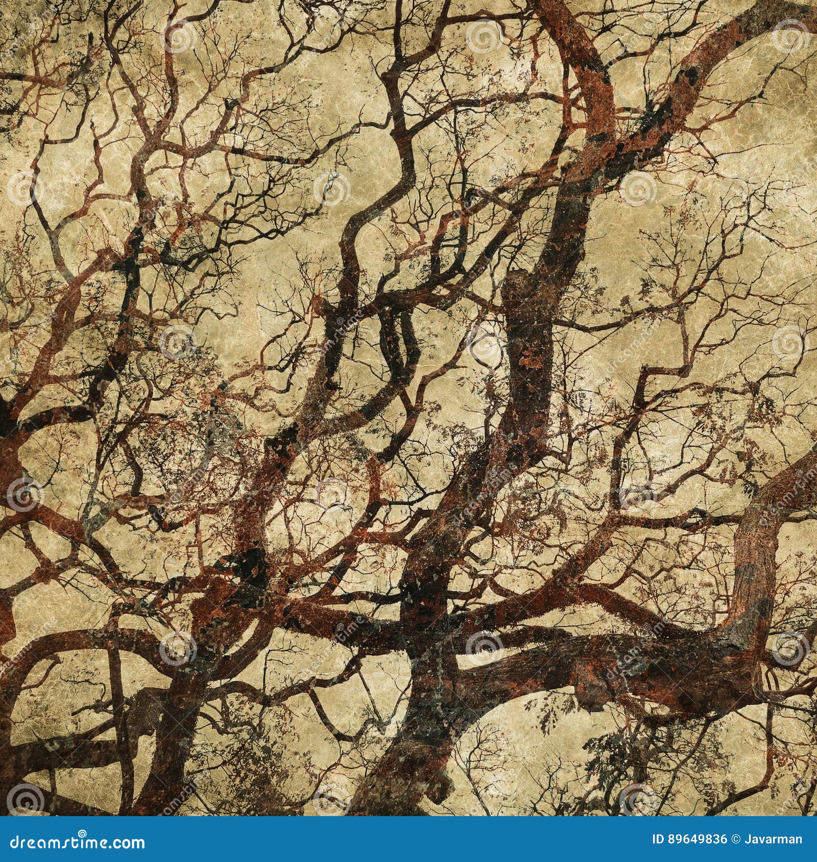 Grunge Background with Tree Silhouettes Stock Photo - Image of antique ...