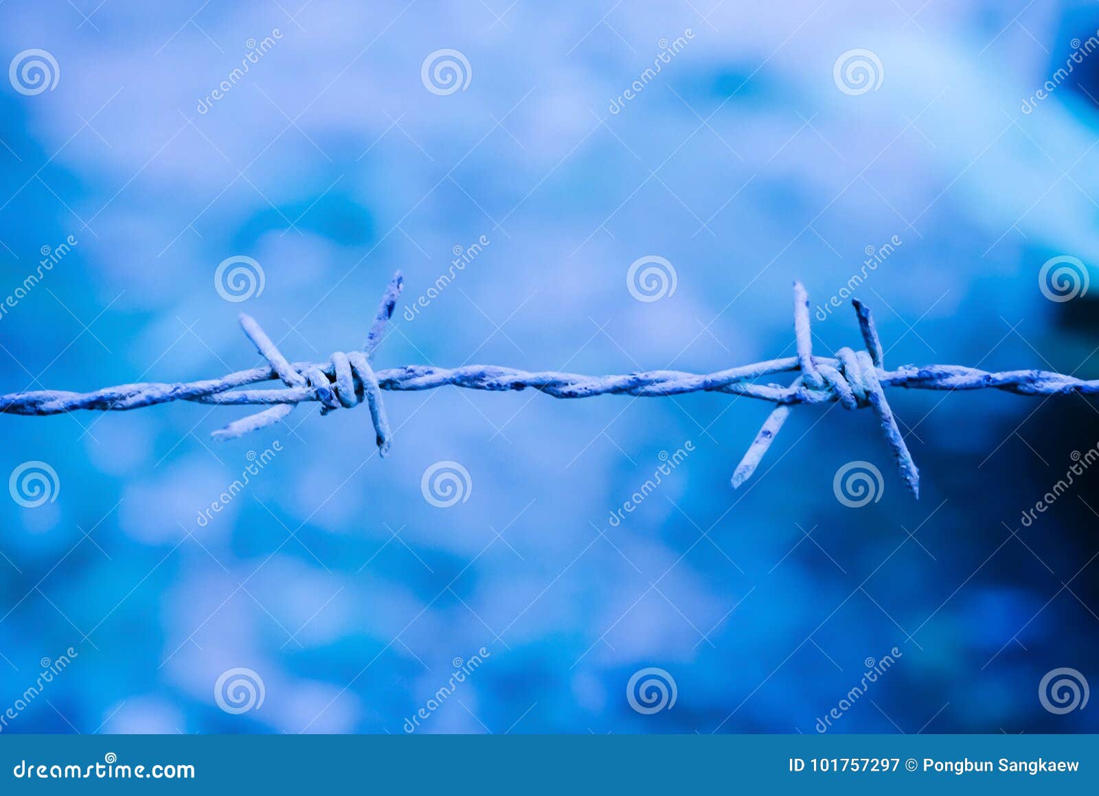 Grunge Barbed Wire with Blue Background Stock Image - Image of grunge ...