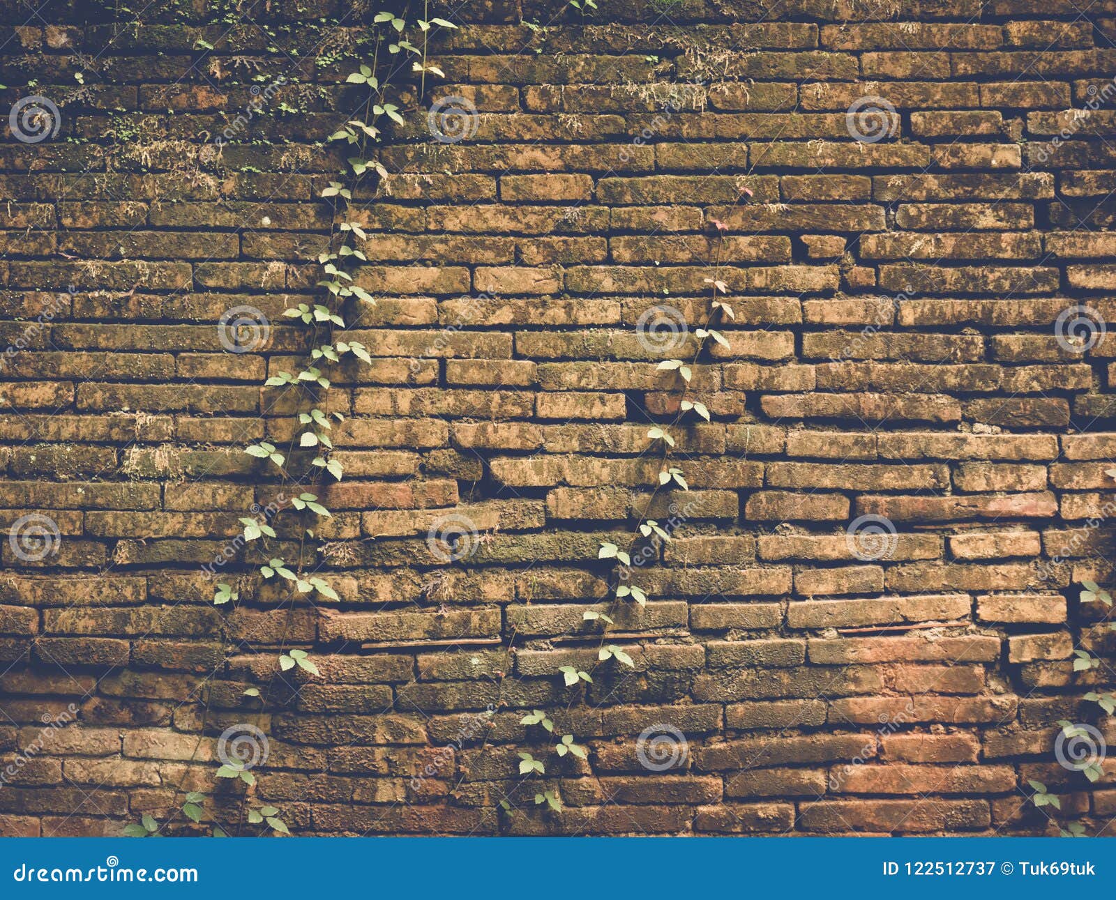 Grunge Brick Wall Background Textures Stock Image - Image of concrete ...