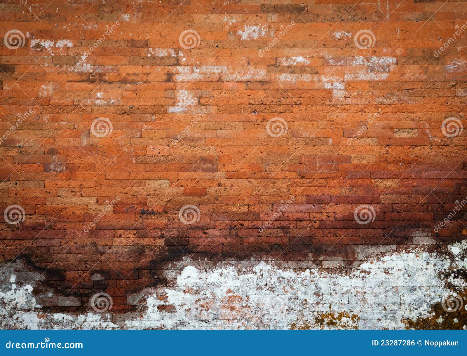 Grunge brick wall texture stock photo. Image of closeup - 23287286