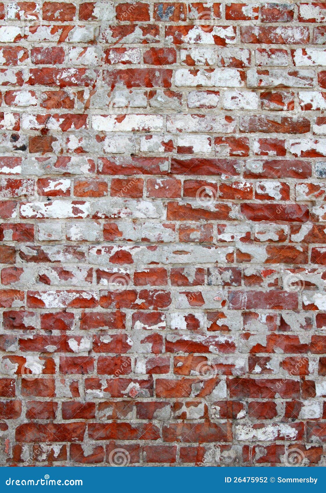 Grunge brick wall texture stock photo. Image of detail - 26475952