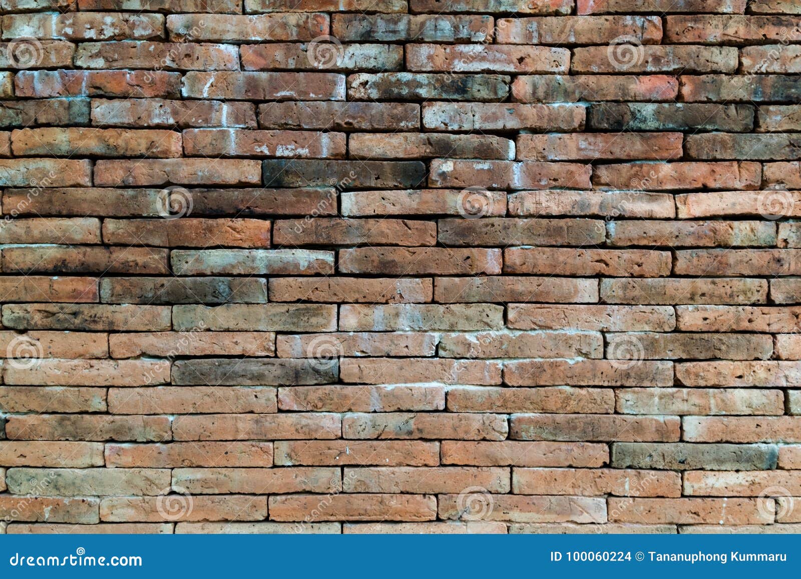 Grunge brick wall texture stock photo. Image of floor - 100060224