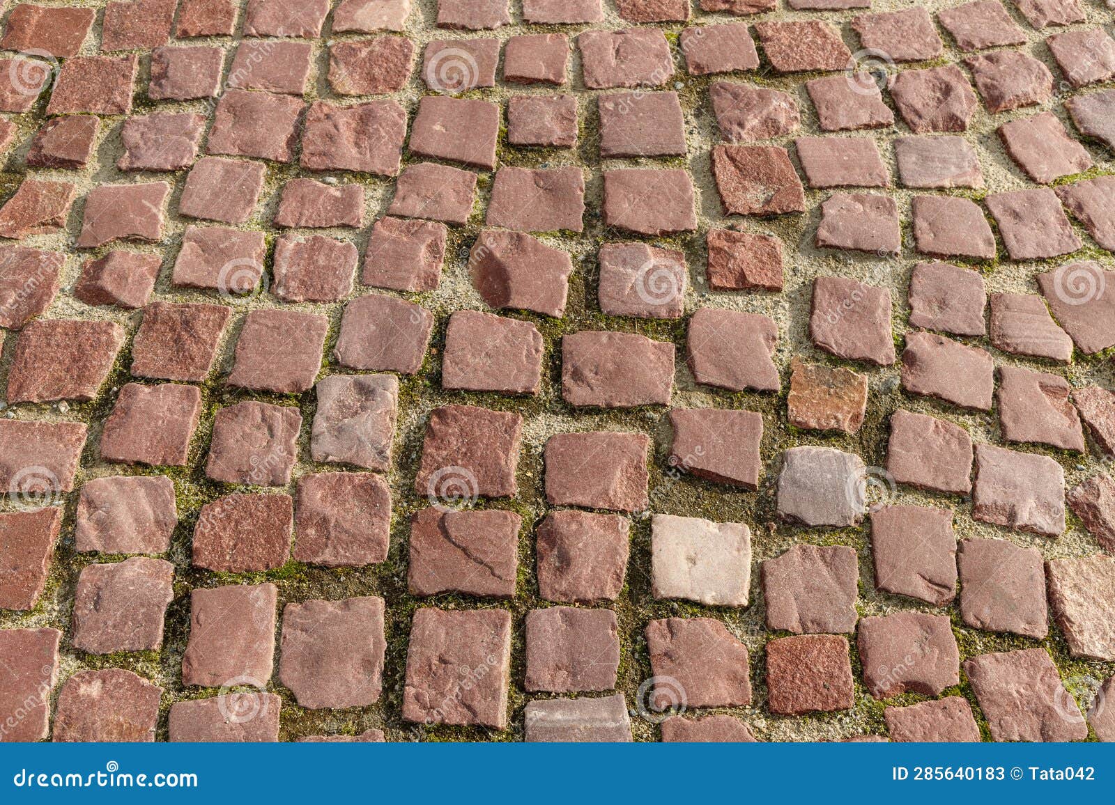Grunge Brown Quartzite Tiled Walking Path. Tiled Retro Pavement or ...