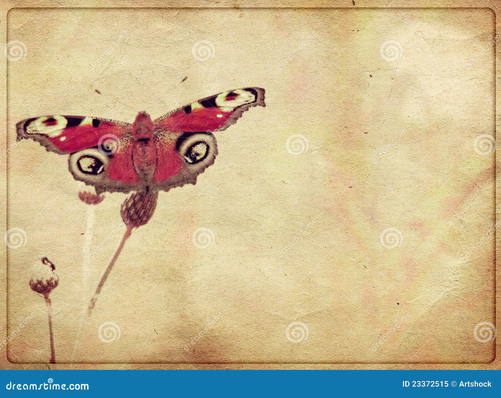 Grunge butterfly stock image. Image of wildlife, design - 23372515