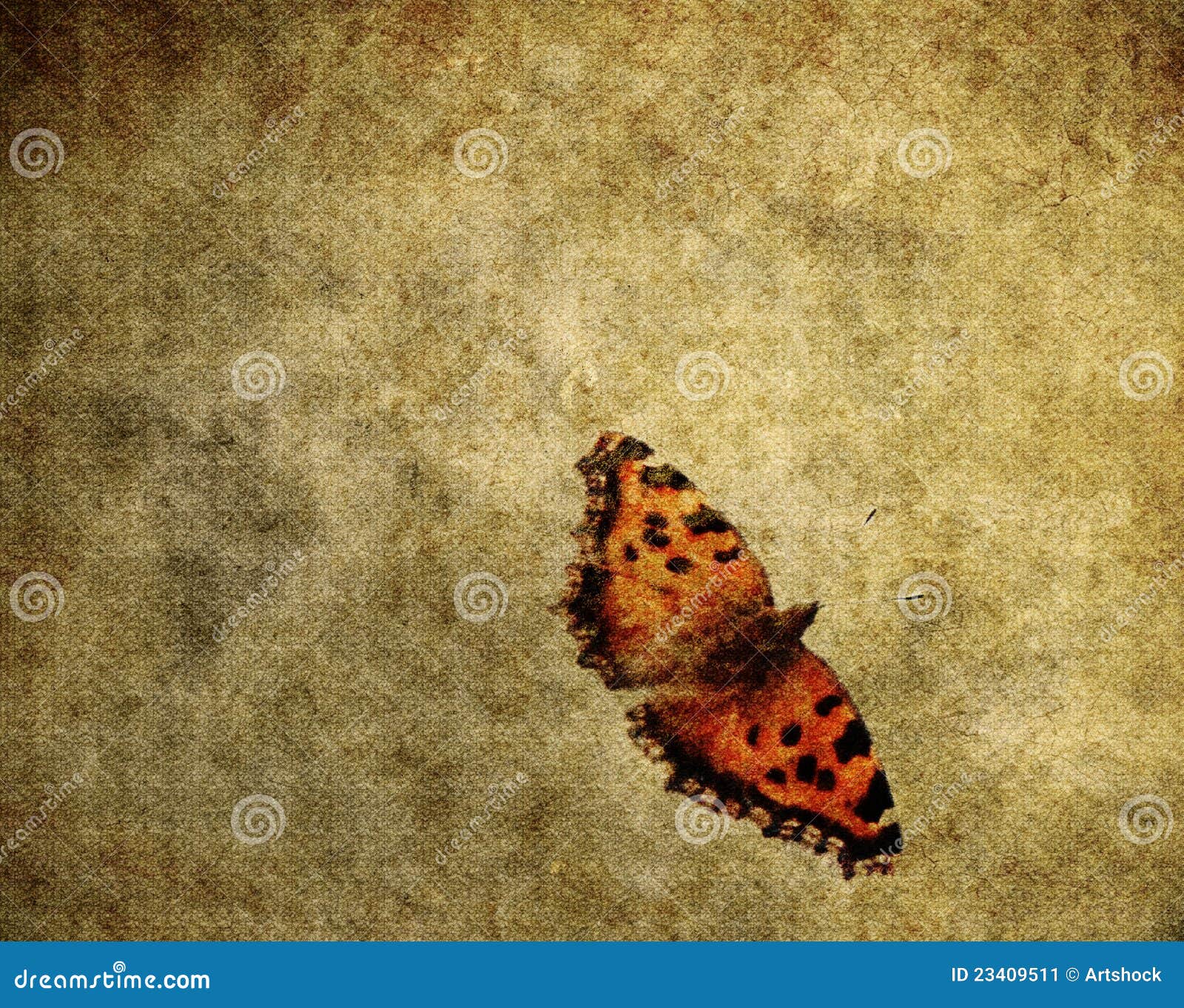 Grunge butterfly stock image. Image of decorative, retro - 23409511