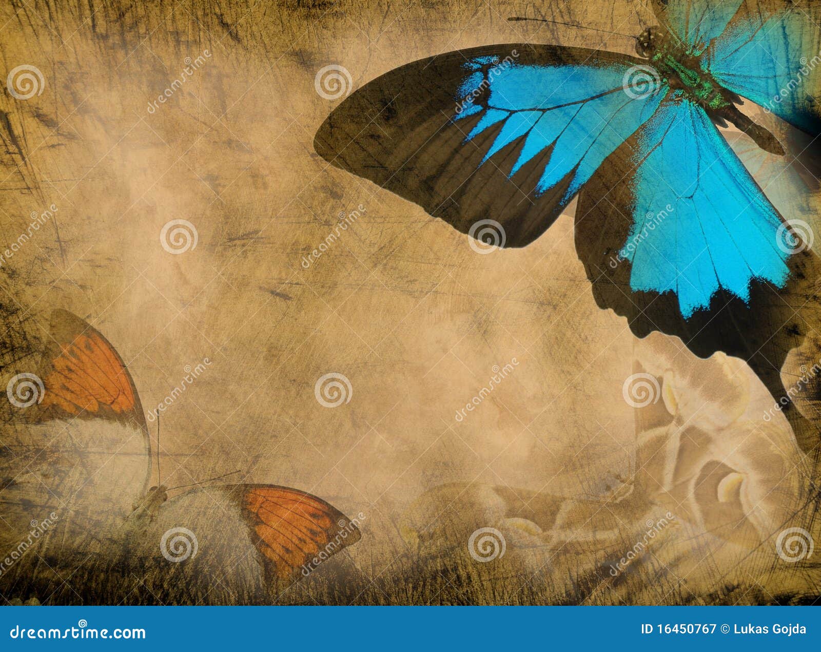 Grunge Butterfly Background Stock Image - Image of ancient, decorative ...